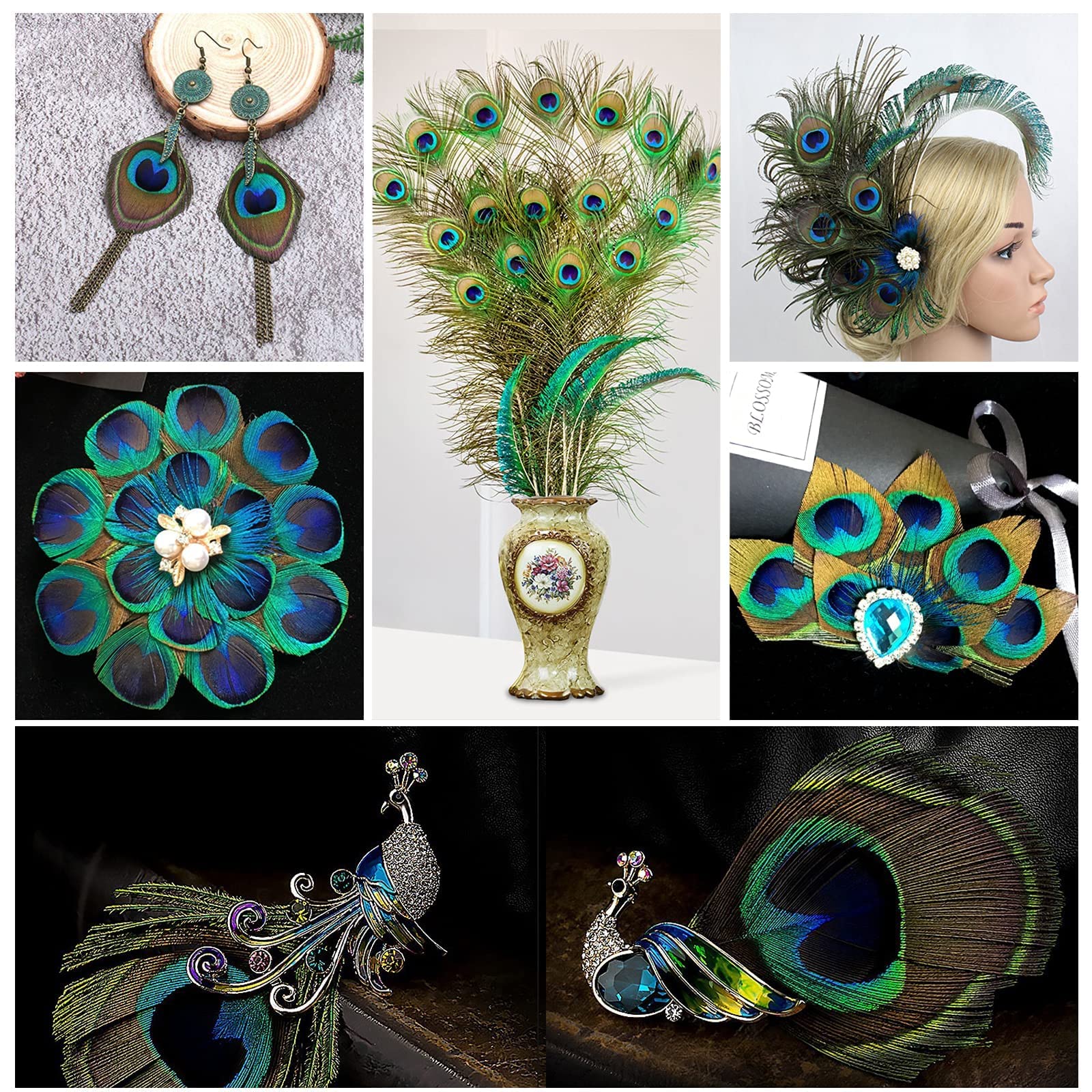 Peacock Feather Art And Craft