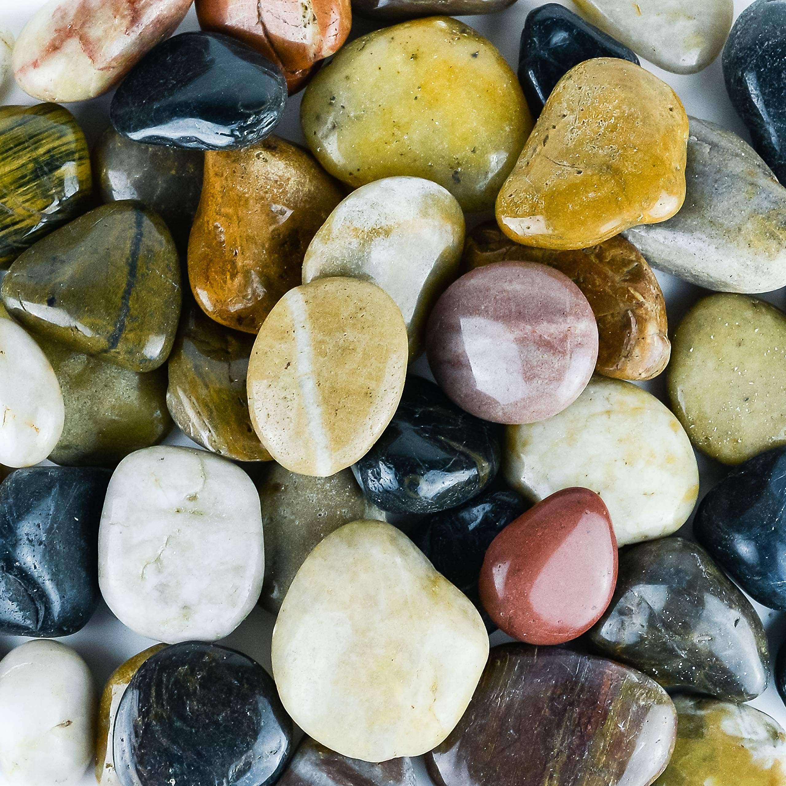 Amazon.com: River Rocks Stones for Plants Pebbles for Indoor Plants ...
