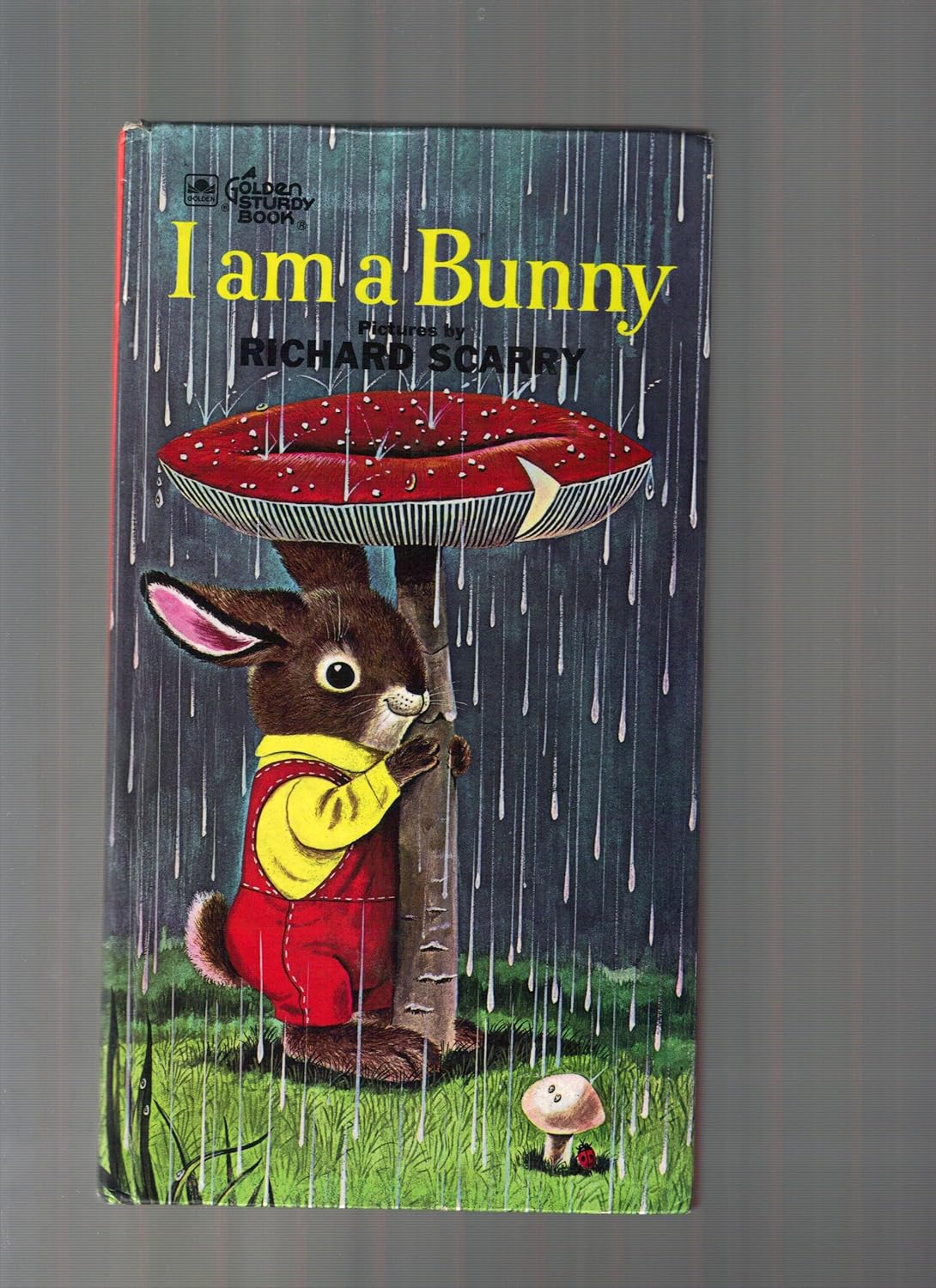 I am a Bunny: Ole Risom, Richard Scarry: 9780307121257: Amazon.com: Books
