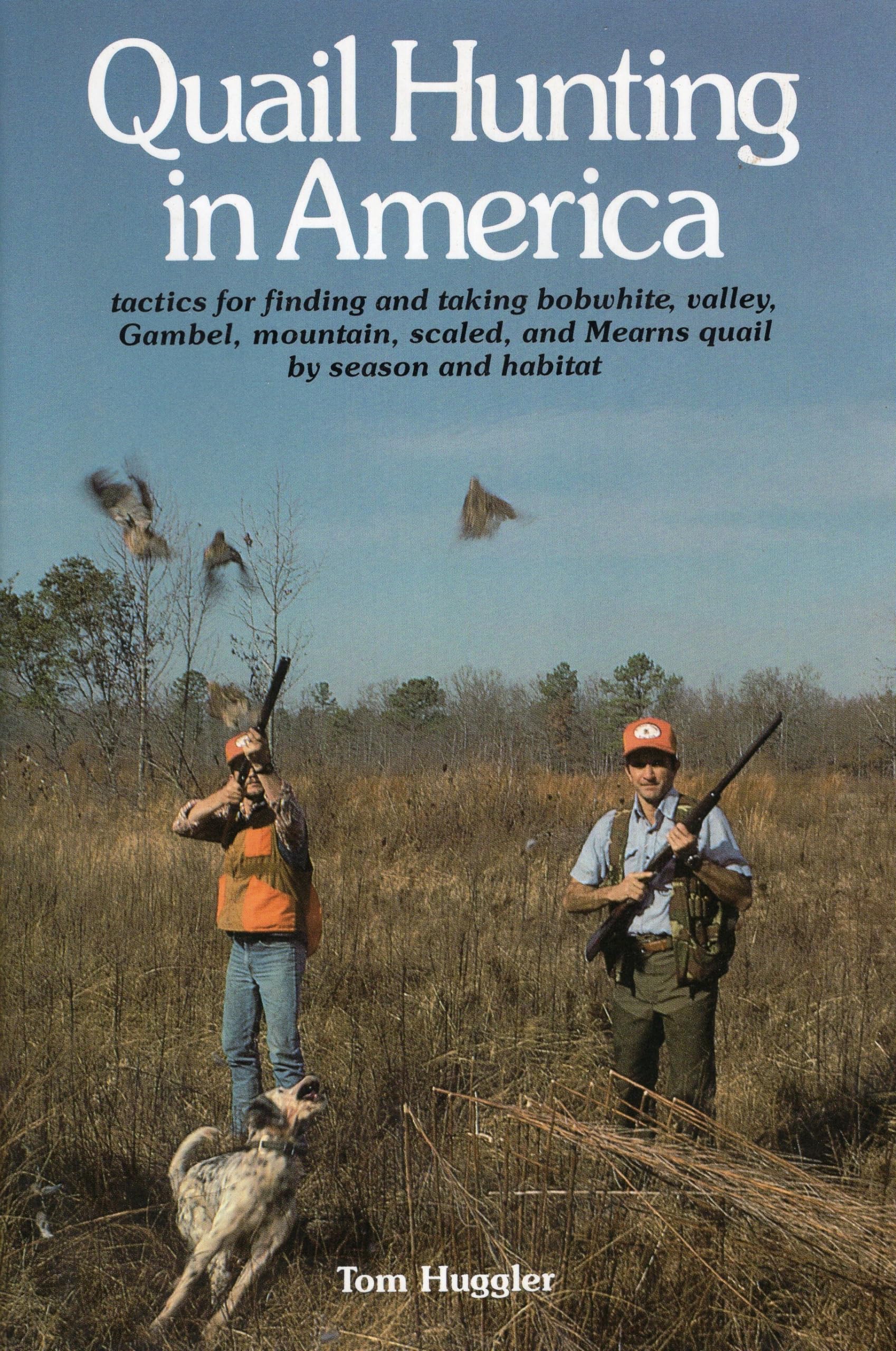 Quail Hunting In America: Tactics For Finding and Taking Bobwhite ...