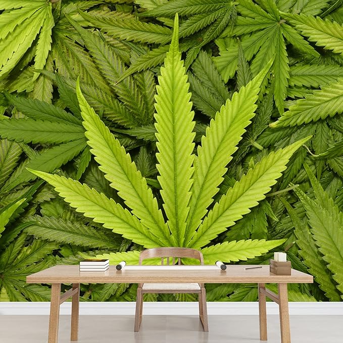 wall26 - Big Marijuana Leaf Close Up with Texture Background of ...