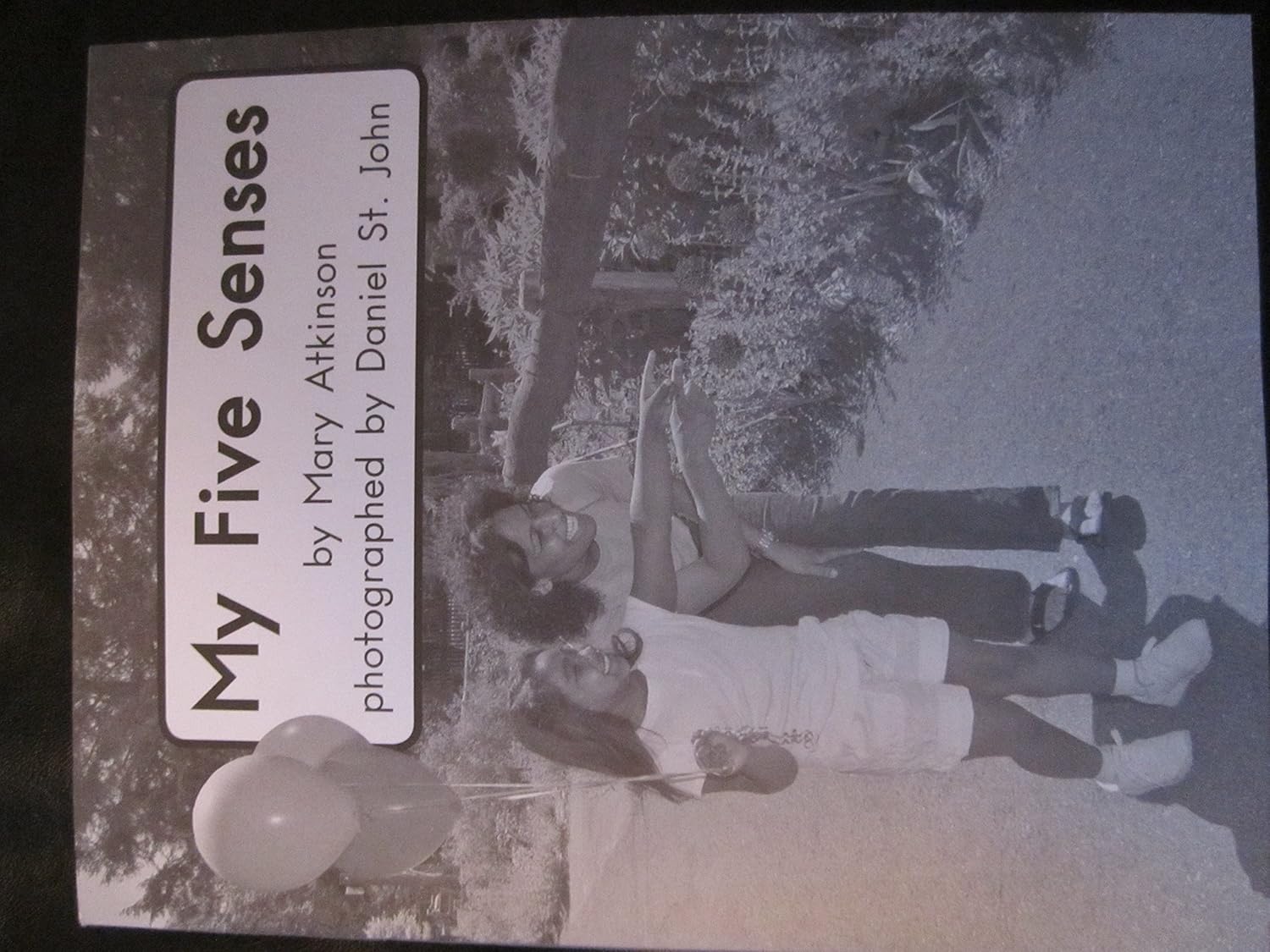 My Five Senses (Fountas and Pinnell Leveled Literacy Intervention Books ...