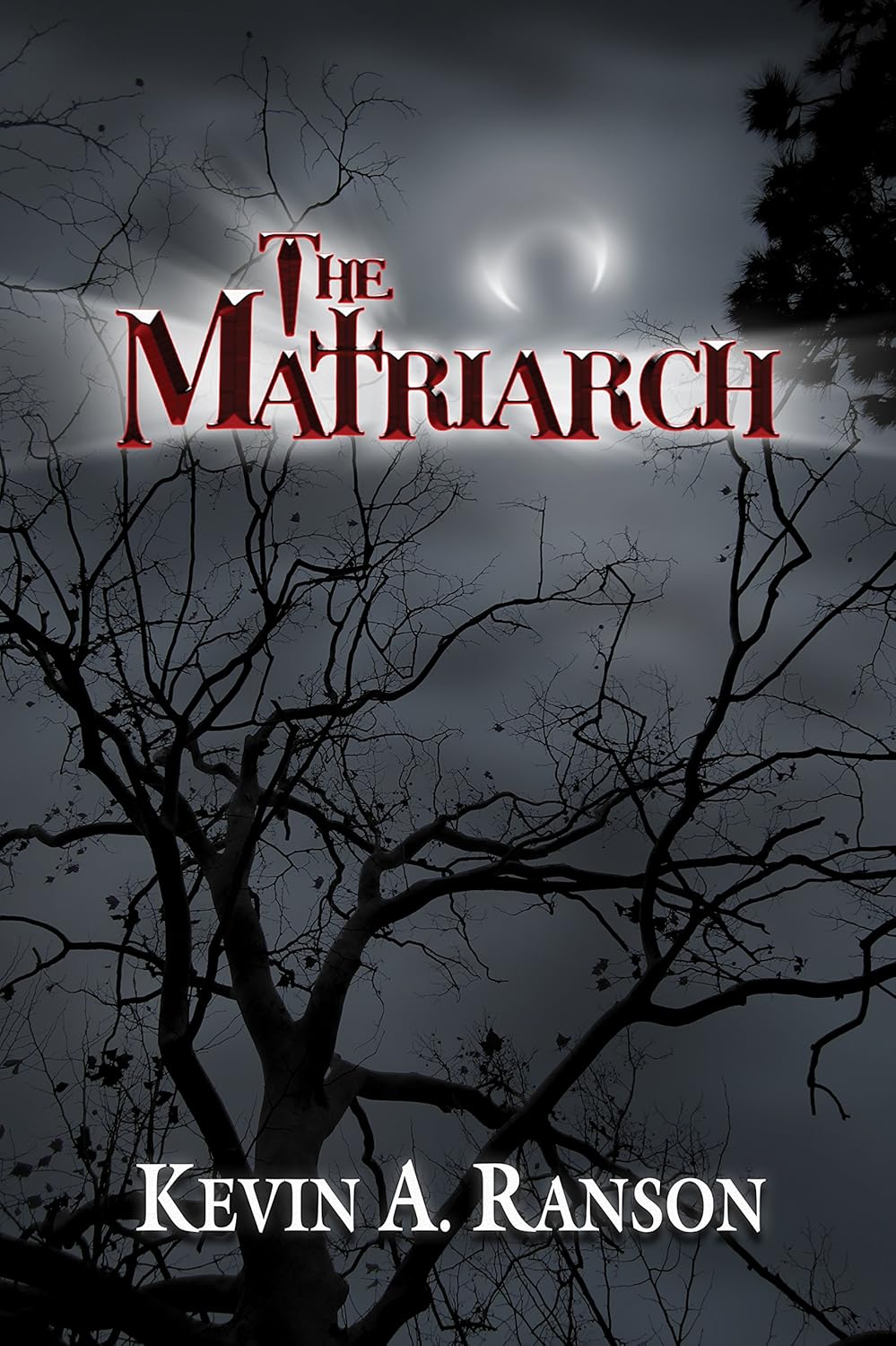 Amazon.com: The Matriarch (The Matriarch Vampires) eBook : Ranson ...