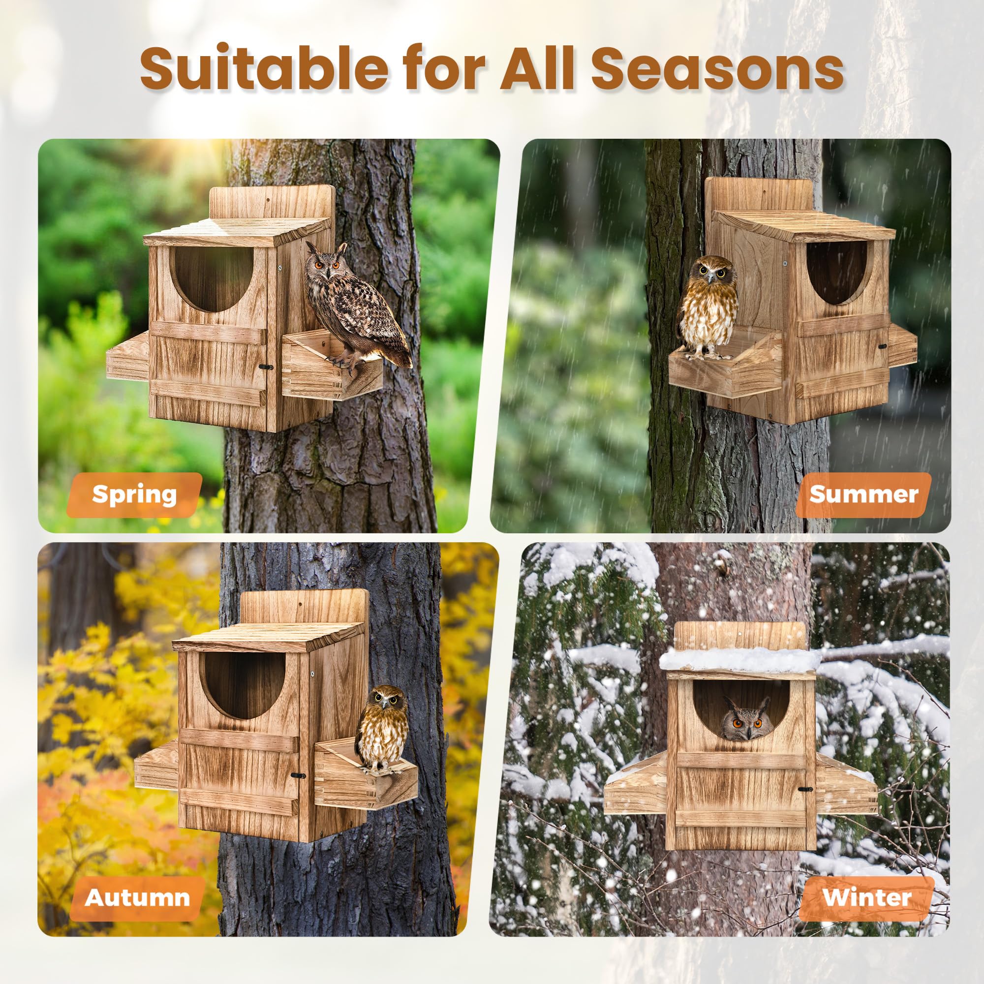 Snapklik.com : Tonchean Wooden Owl House, Barn Owl Box For Outdoor ...