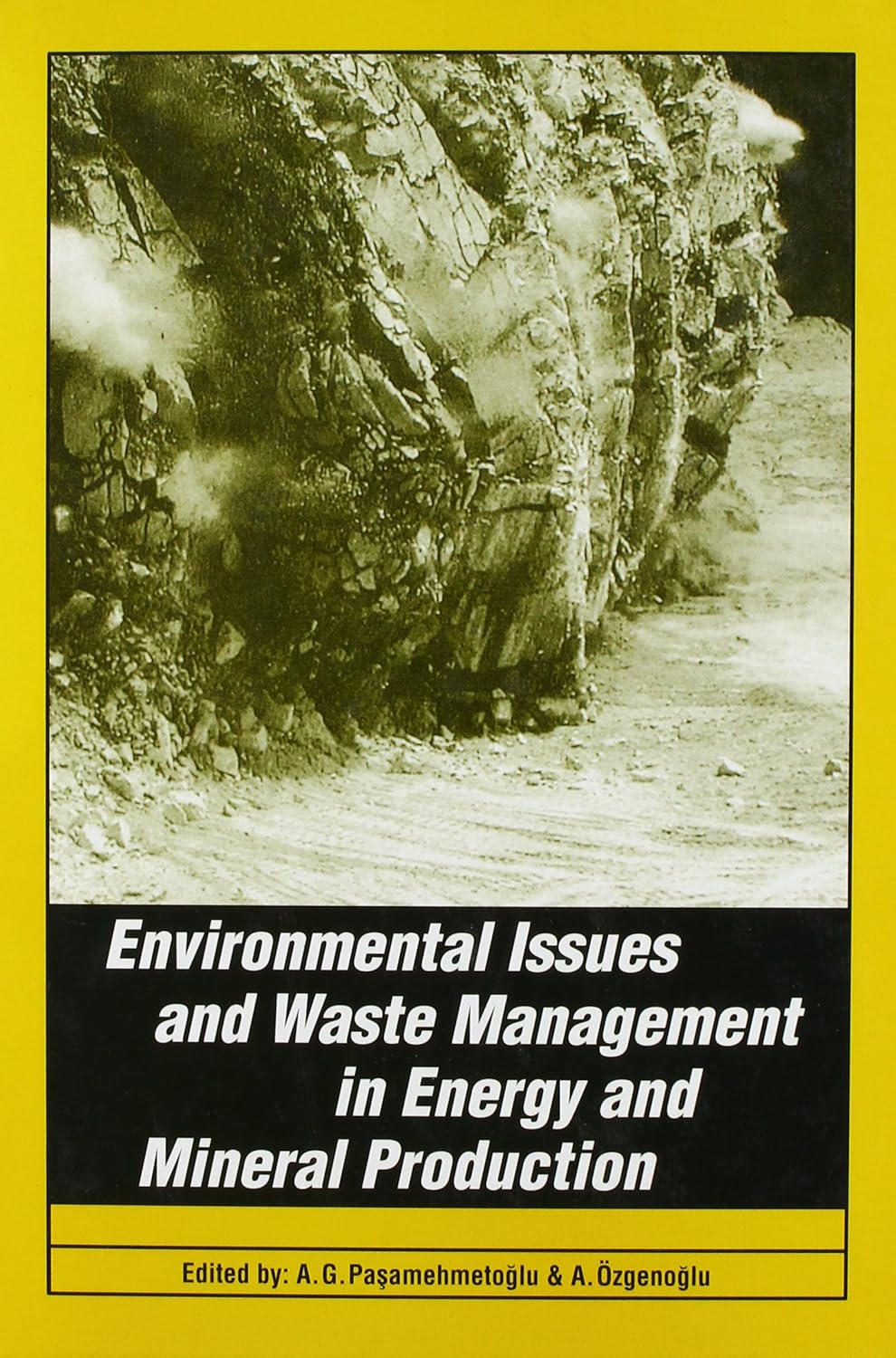 Amazon | Environmental Issues and Waste Management in Energy and ...