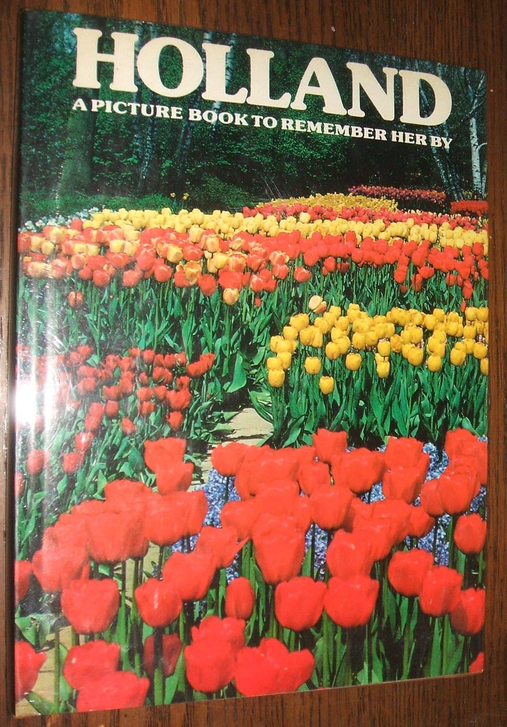 Holland (A Picture Book to Remember Her by): Amazon.co.uk: Gibbon ...