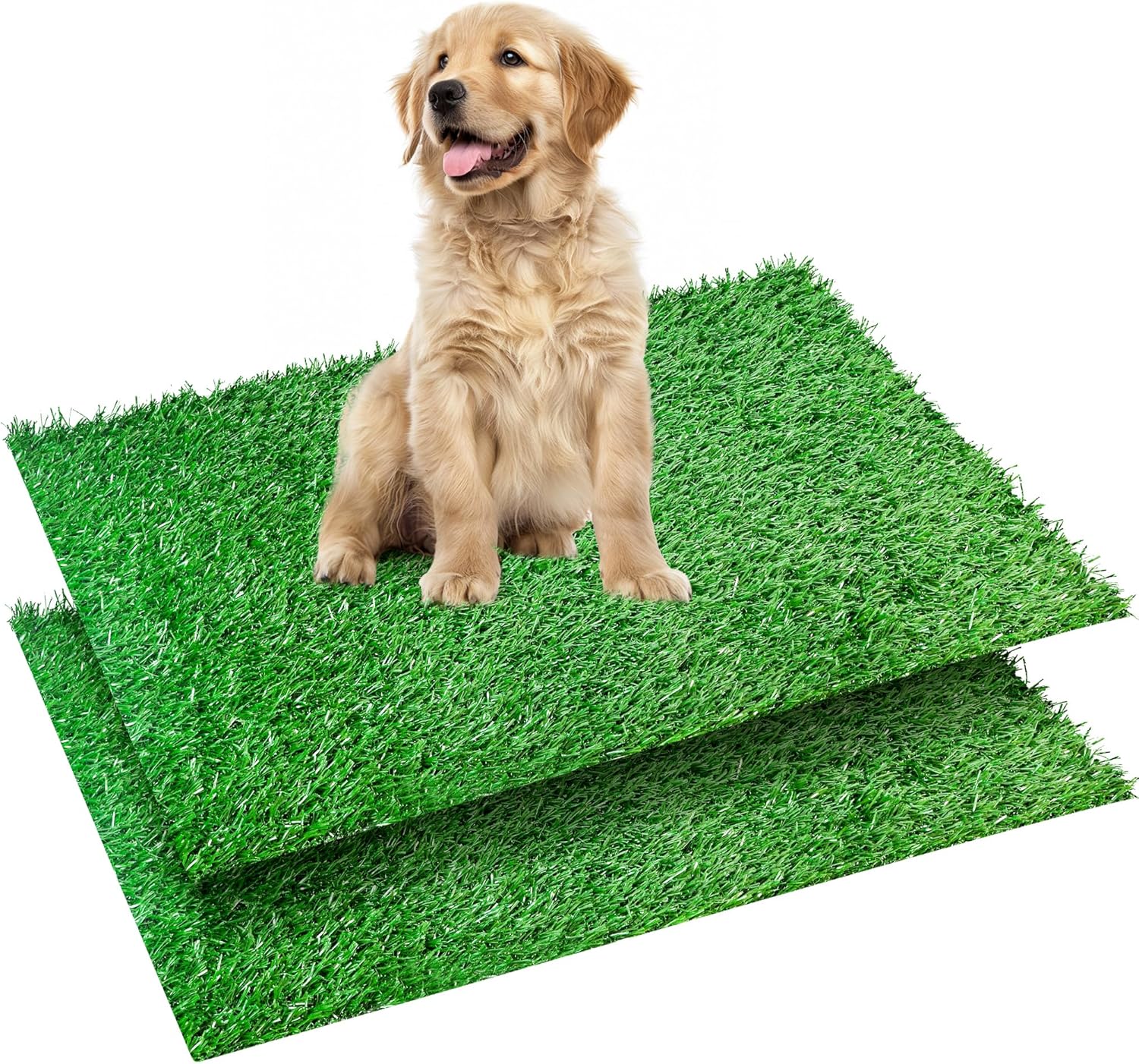 Amazon.com: DwlSpce Dog Grass Pee Pad, 2 Pack Puppy Pee Mats Fake Grass ...