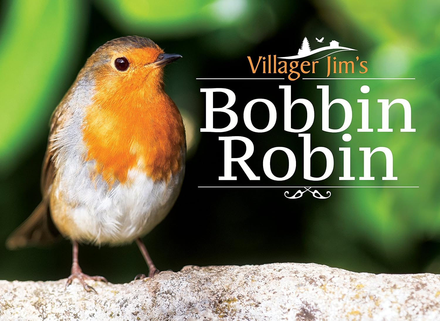 Amazon.com: Villager Jim's Bobbin Robin: 9781526706799: Jim, Villager ...