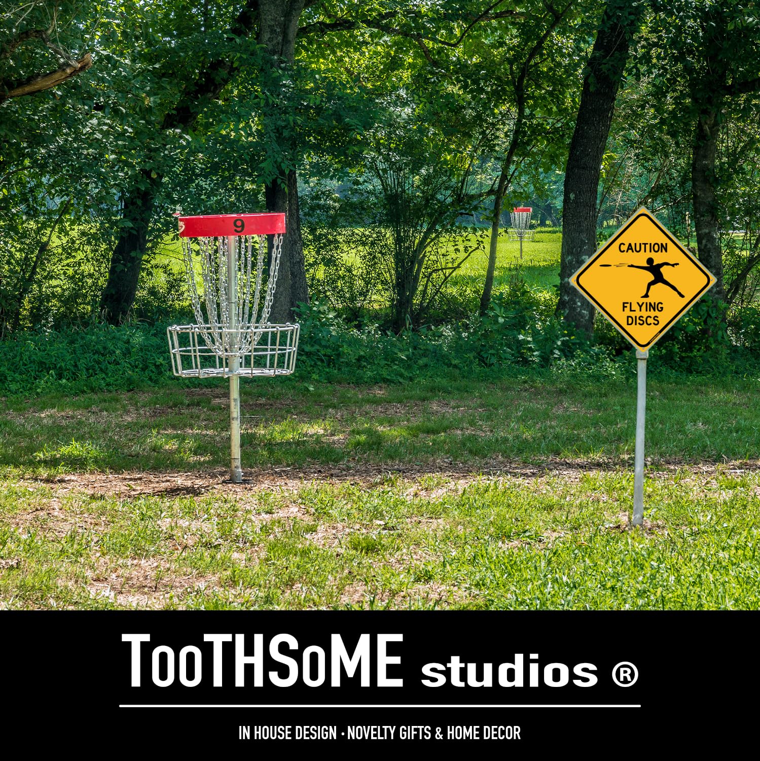 Frisbee Golf Sign Disc Golf Hire In The Gardens | Queenstown Ice Arena
