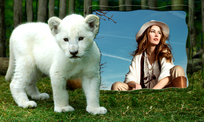 Lion Photo Frames:Amazon.com:Appstore for Android