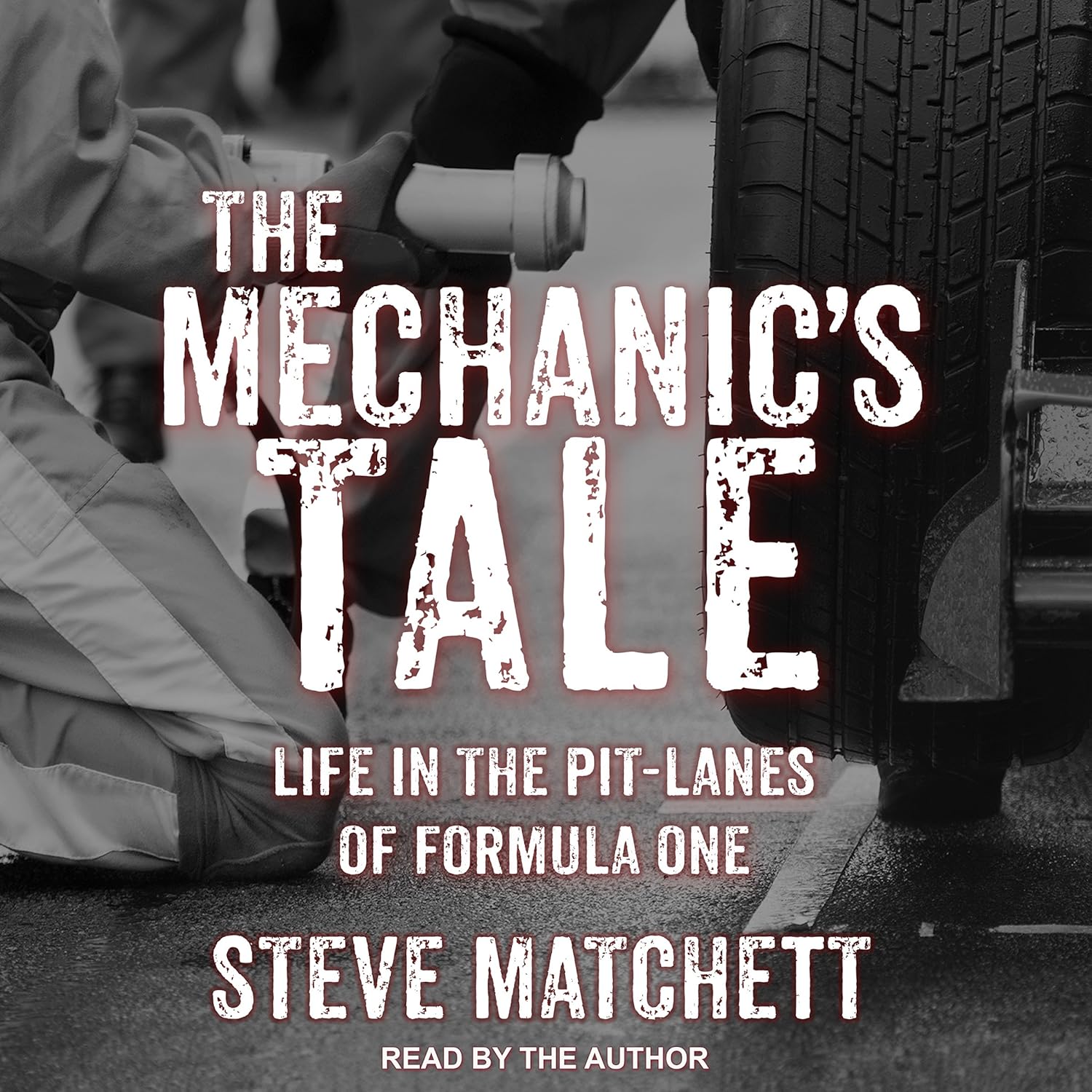The Mechanic's Tale: Life in the Pit-Lanes of Formula One : Steve ...
