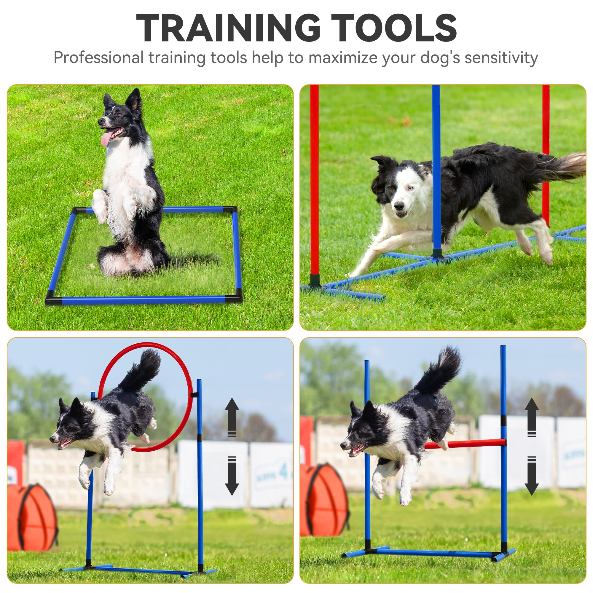 Snapklik.com : YITAHOME Dog Agility Training Equipment Set