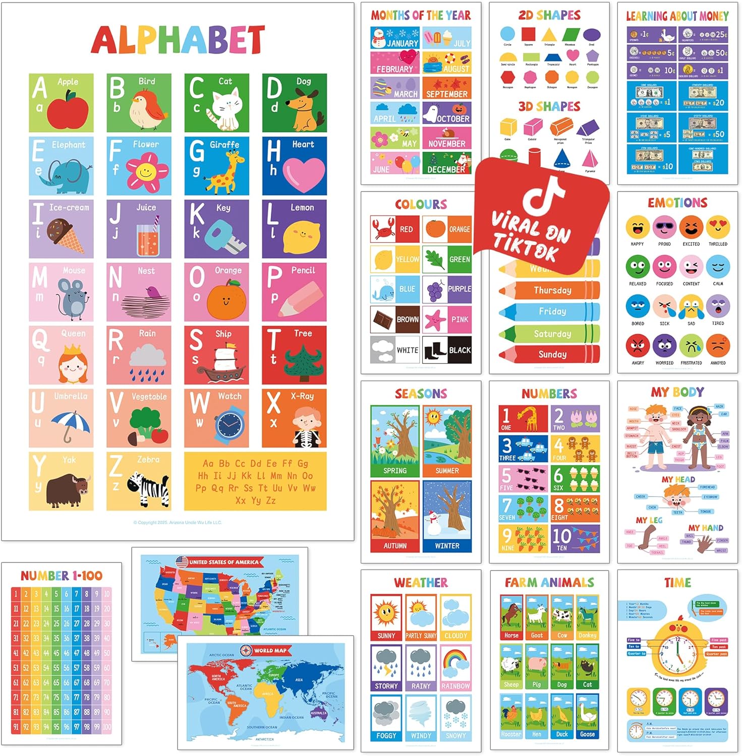 Amazon.com: 16 Laminated Educational Posters for Toddlers & Kids ...