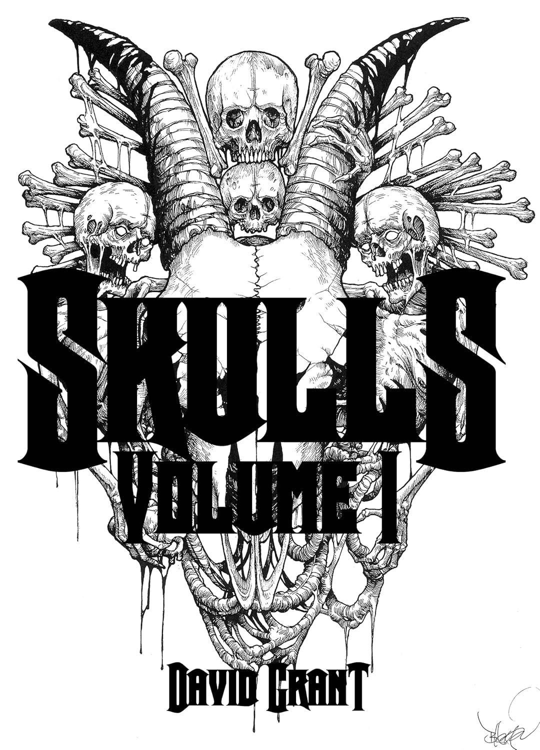 Skulls Volume 1: David Grant: 9780973792423: Amazon.com: Books