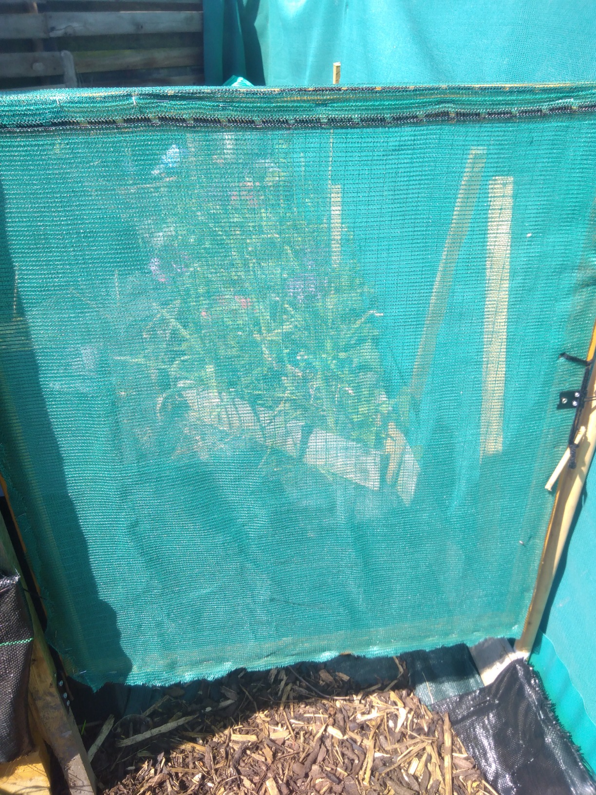 True Products 40% Windbreak Netting Greenhouse Shade Garden Net 1m x 5m ...