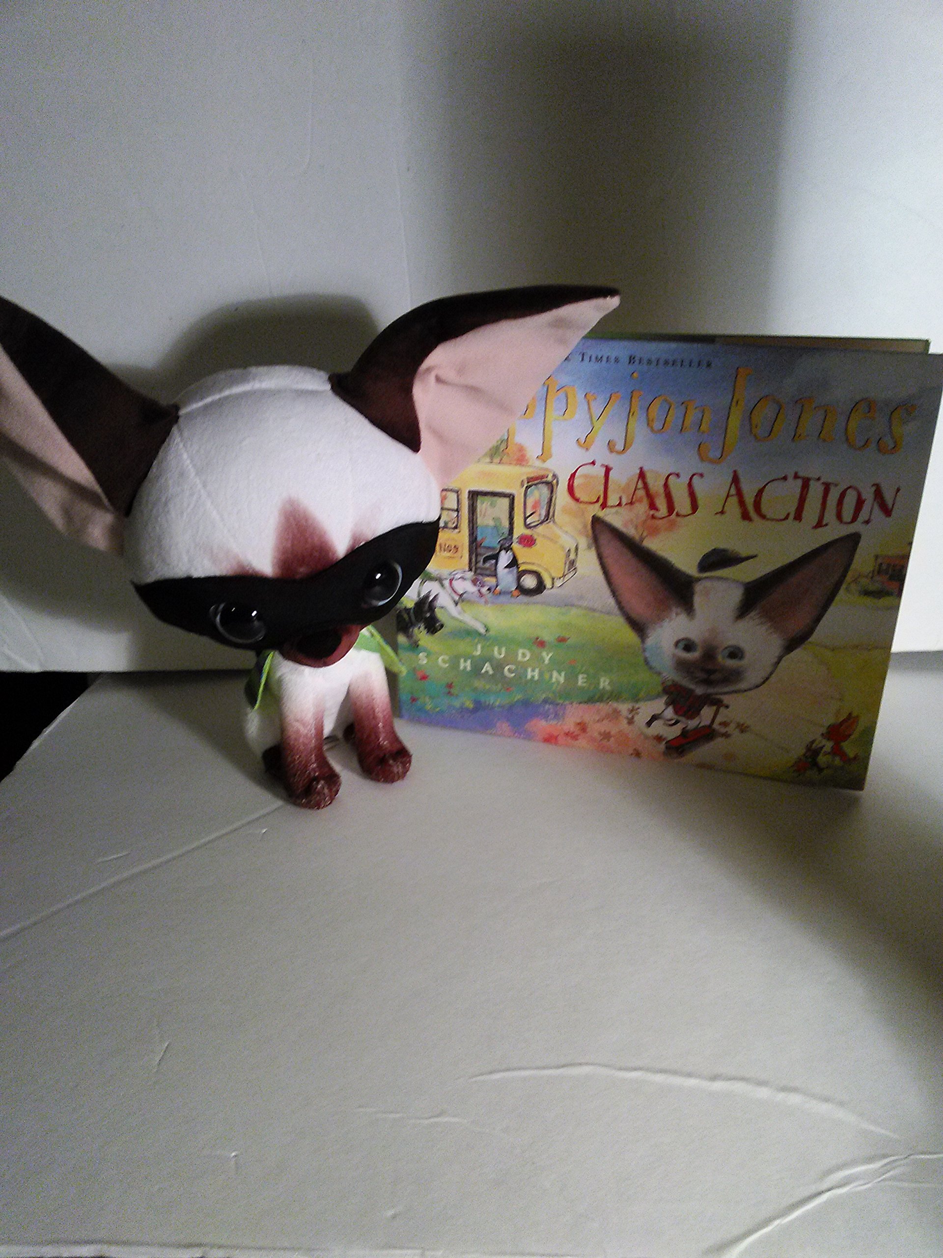 Skippyjon Jones Class Action Kohls Cares (Skippyjon Jones): Schachner ...