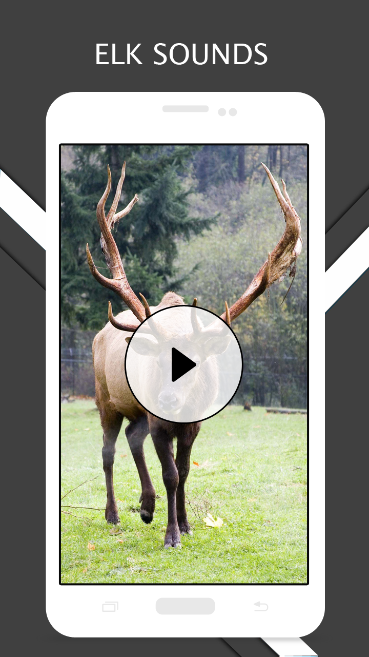 Elk Sounds And Ringtones - App on Amazon Appstore