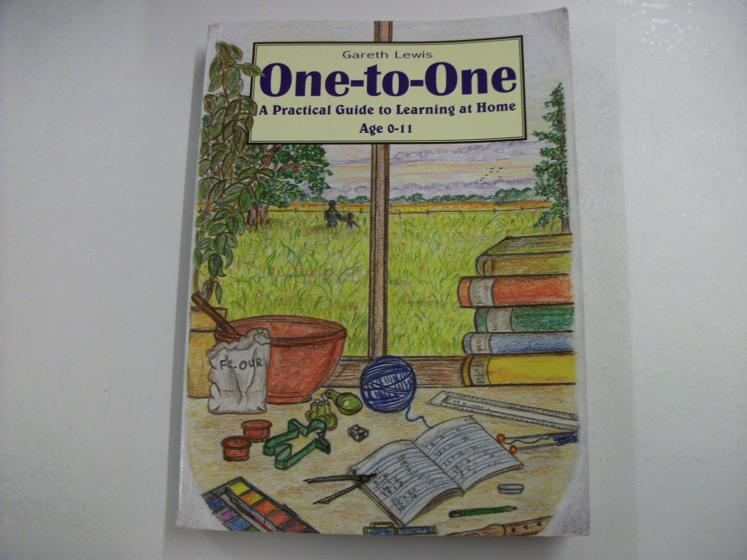 One-to-one: A Practical Guide to Learning at Home Age 0-11: Amazon.co ...