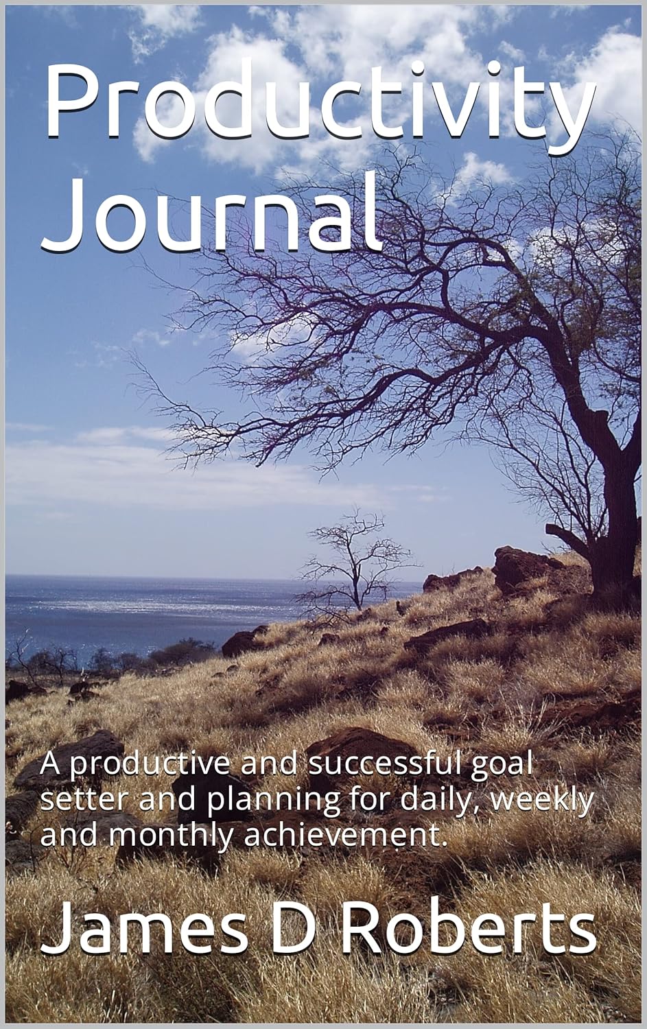 Productivity Journal: A productive and successful goal setter and ...