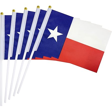 Amazon.com : LoveVC Texas State Flag Small Mini Texas Stick Flags,25 ...