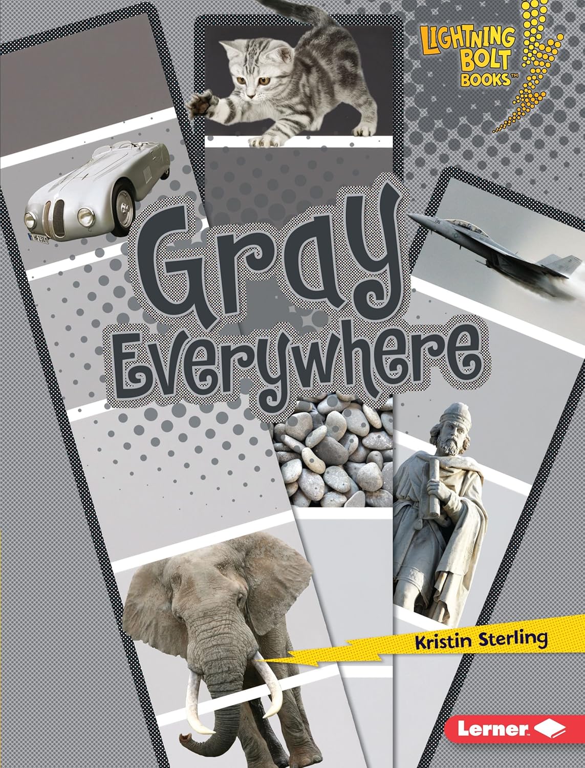 Gray Everywhere (Lightning Bolt Books ® ― Colors Everywhere): Sterling ...