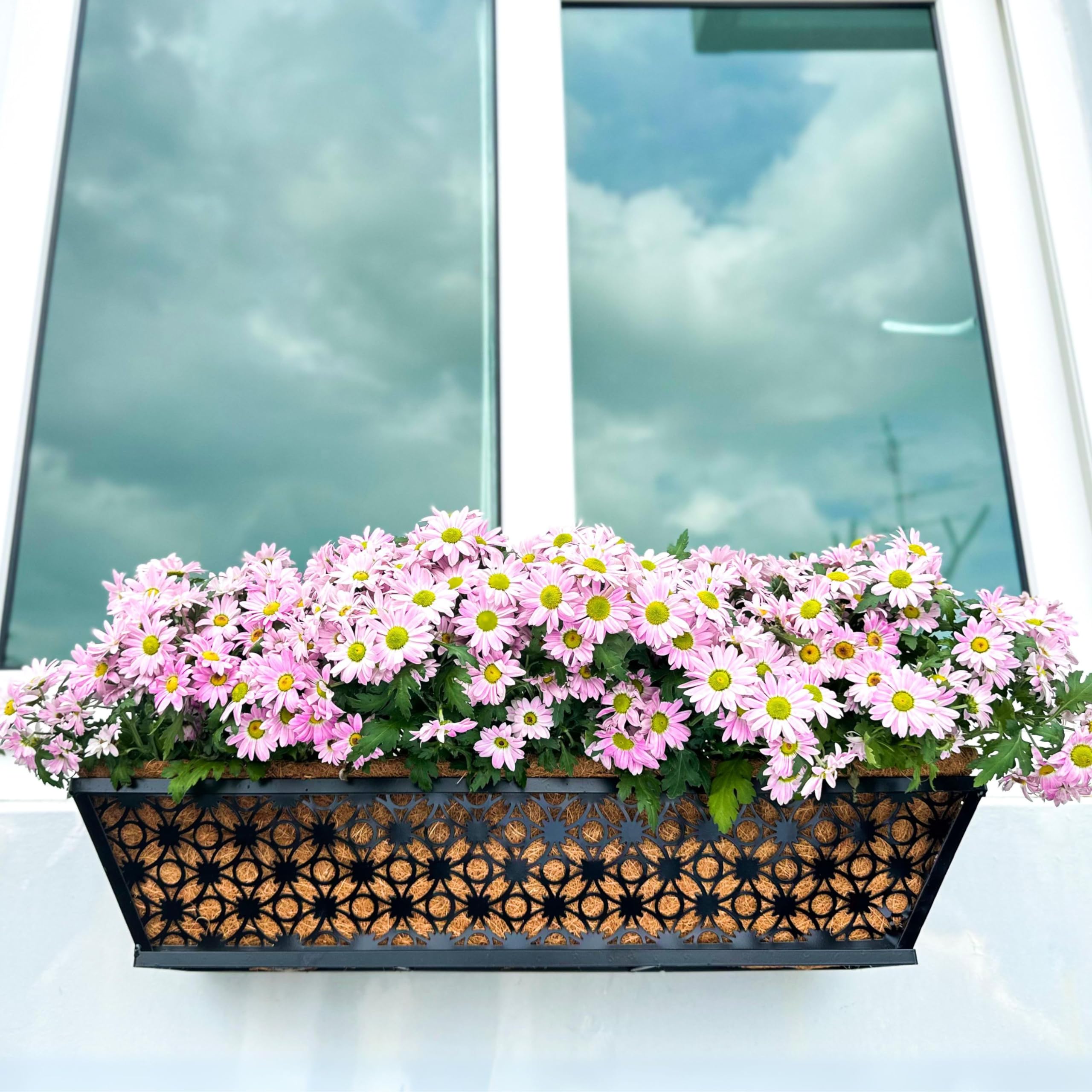 Amazon.com : LaLaGreen Window Box Planter for Outdoor Plants (24 Inch ...