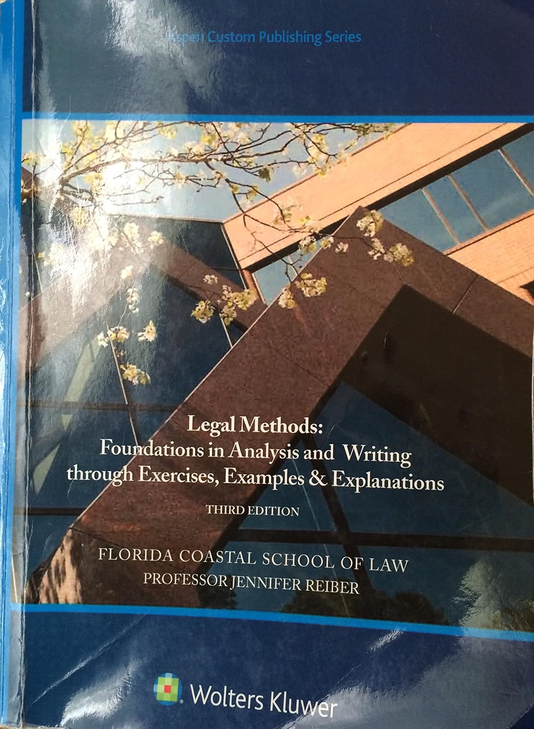 Legal Methods: Foundations in Analysis and Writing: Amazon.co.uk ...