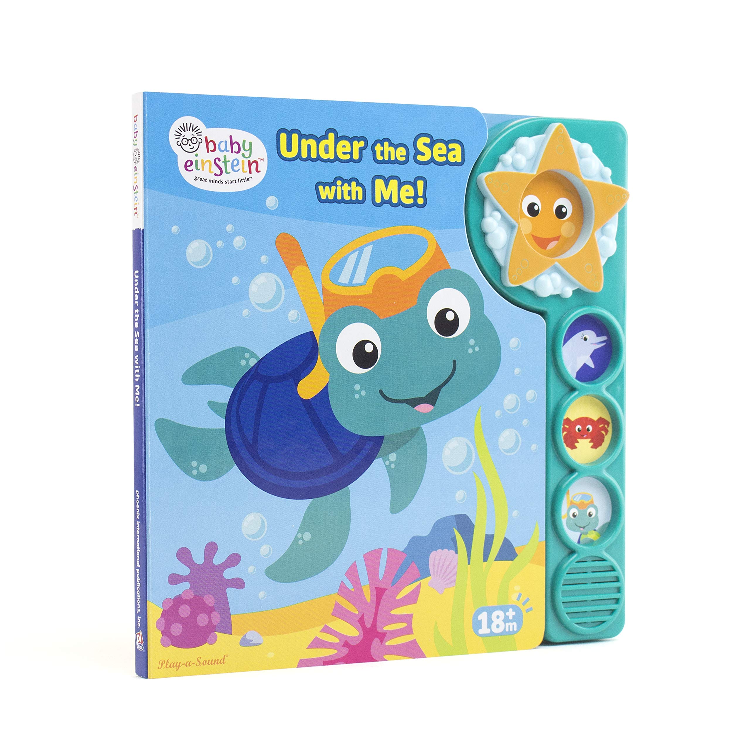 Baby Einstein Sea Turtle | canoeracing.org.uk