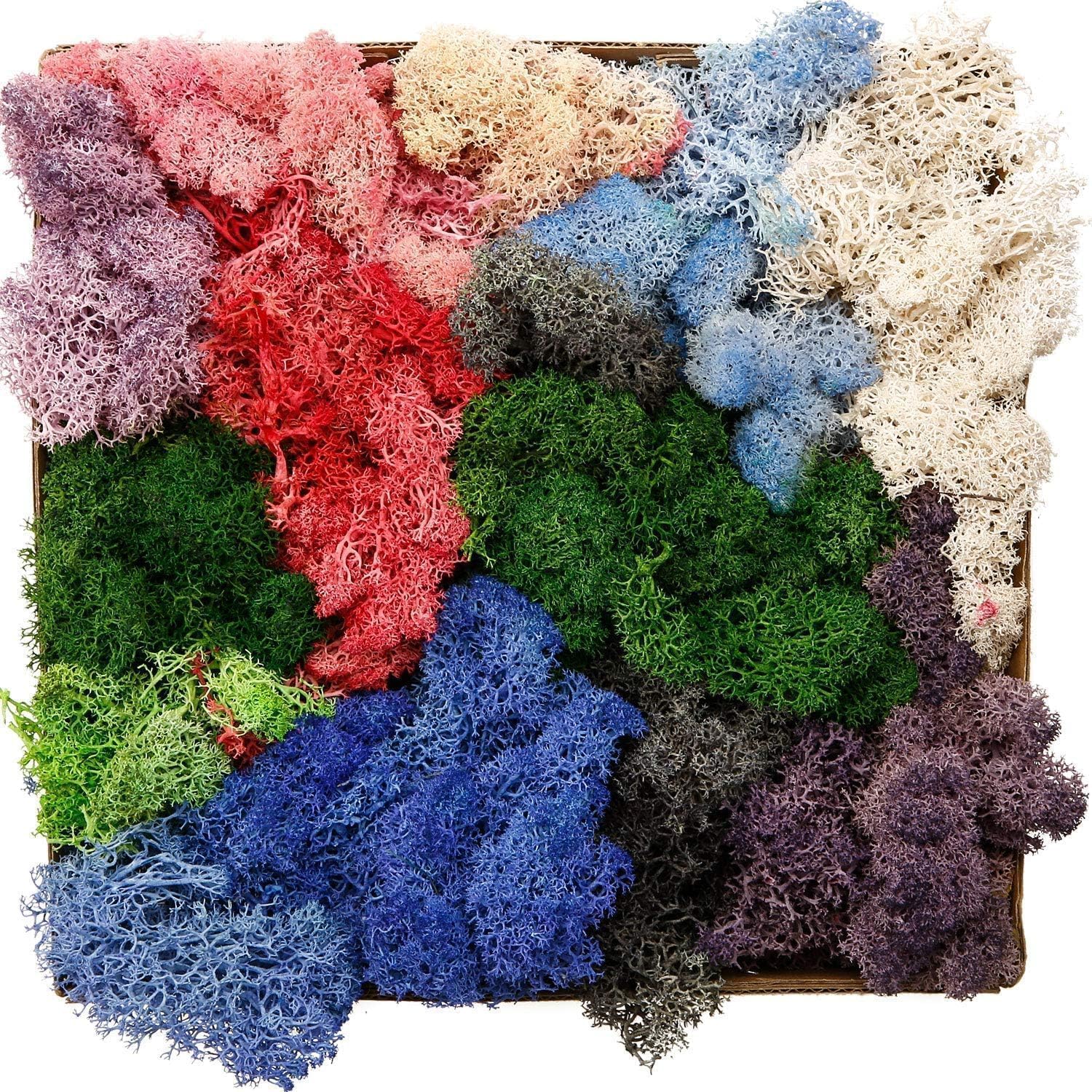Preserved Reindeer Moss 200g Natural Decoration Lichen Artificial Dried ...
