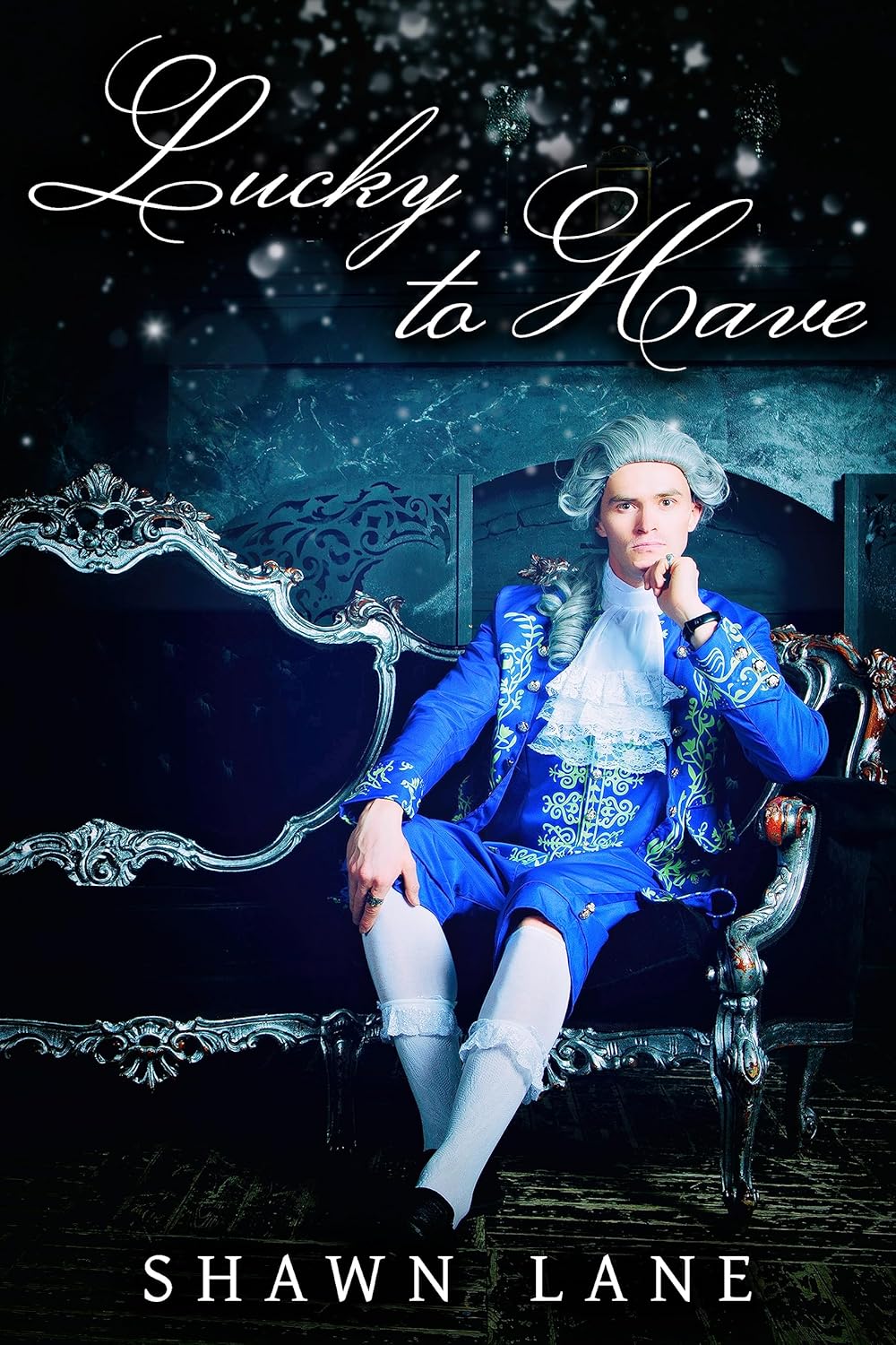 Amazon.com: Lucky to Have eBook : Lane, Shawn: Kindle Store