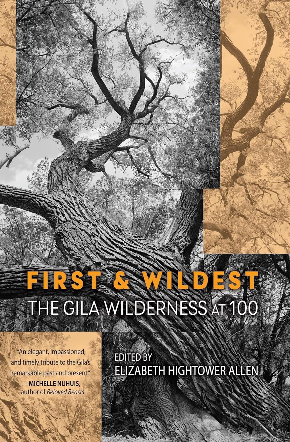 First and Wildest: The Gila Wilderness at 100: Allen, Elizabeth ...