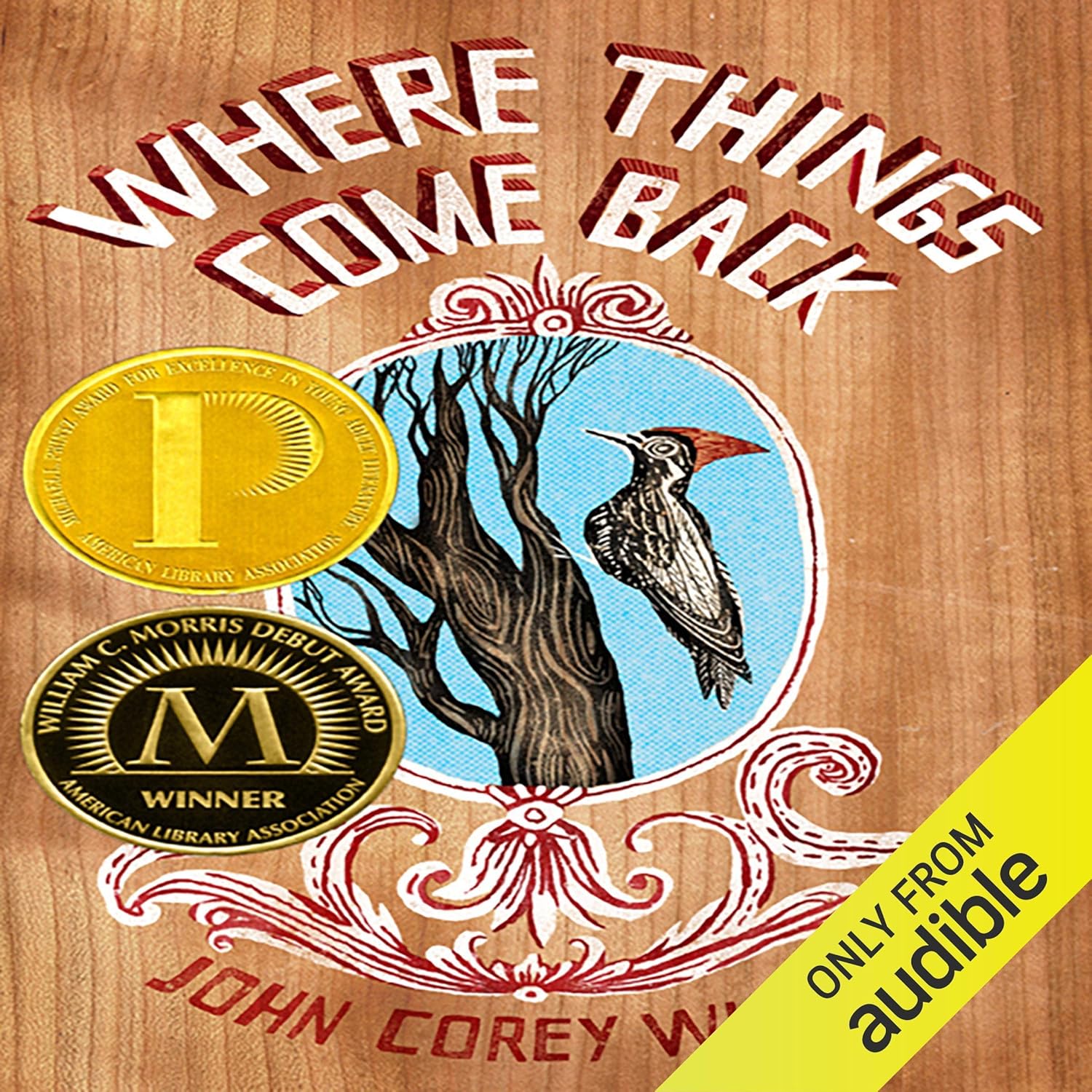 Amazon.com: Where Things Come Back (Audible Audio Edition): John Corey ...
