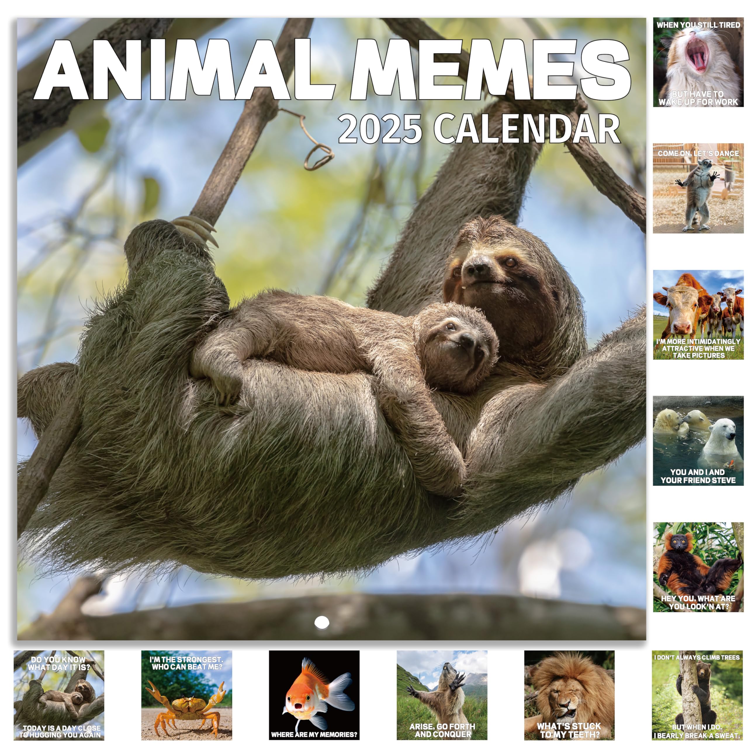Buy 2025 Wall - Funny 2025 with Animal Memes, Jan. 2025 - Dec. 2025, 12 ...