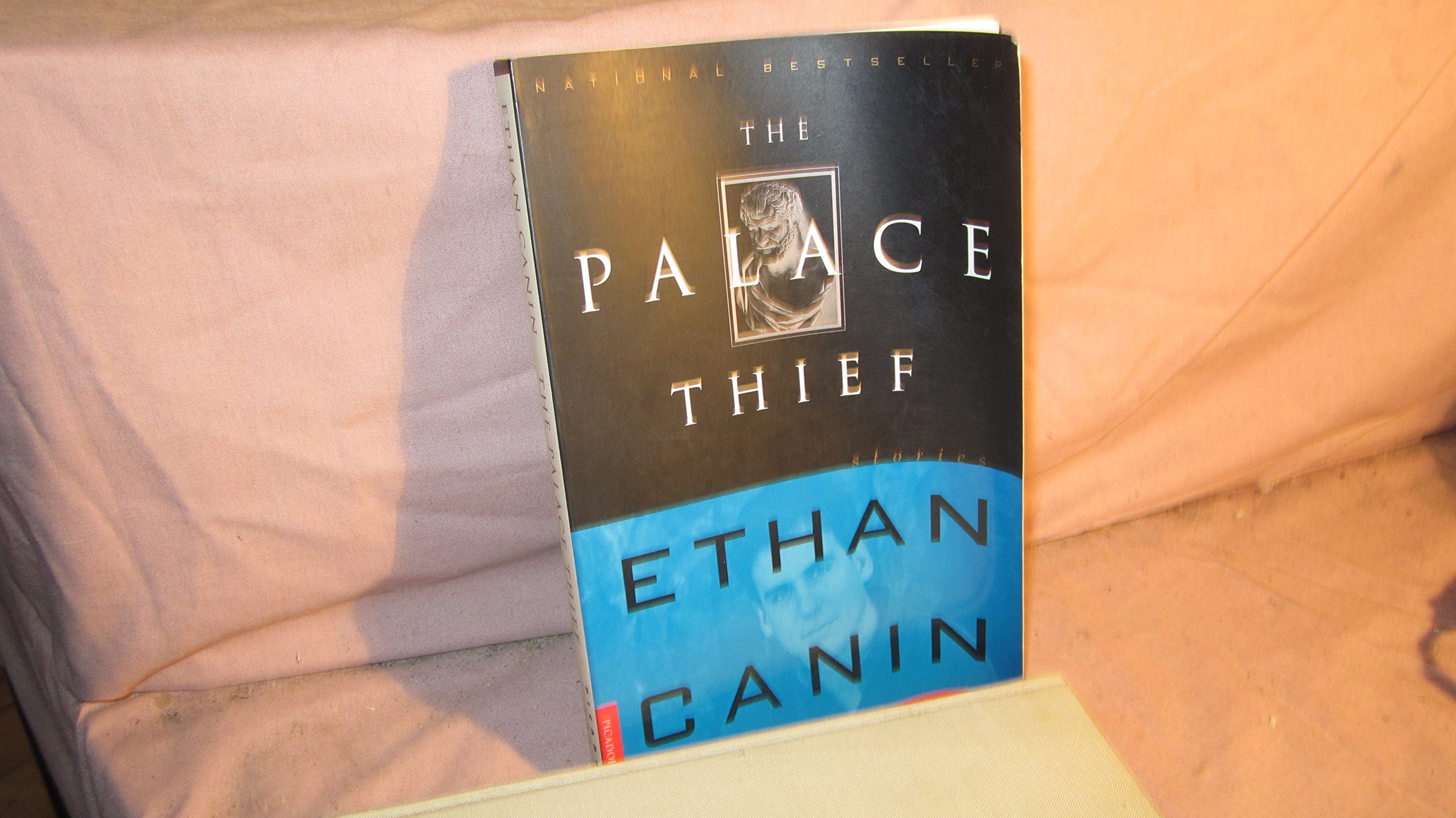 The Palace Thief: Stories: Canin, Ethan: 9780312119300: Amazon.com: Books