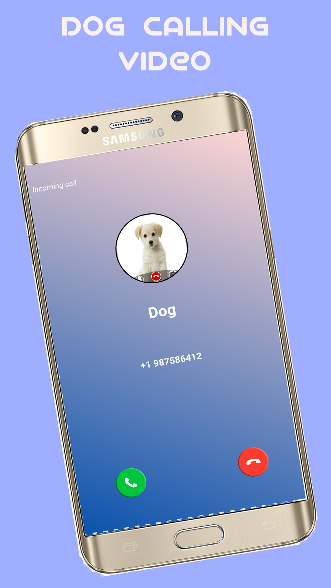 Dog Live Video Call - App on Amazon Appstore