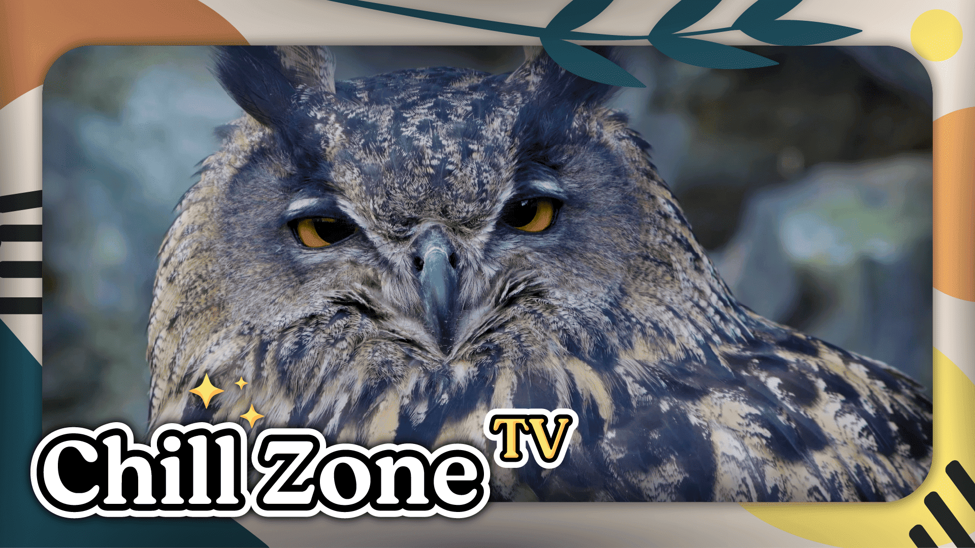 Chill Zone TV - App on Amazon Appstore
