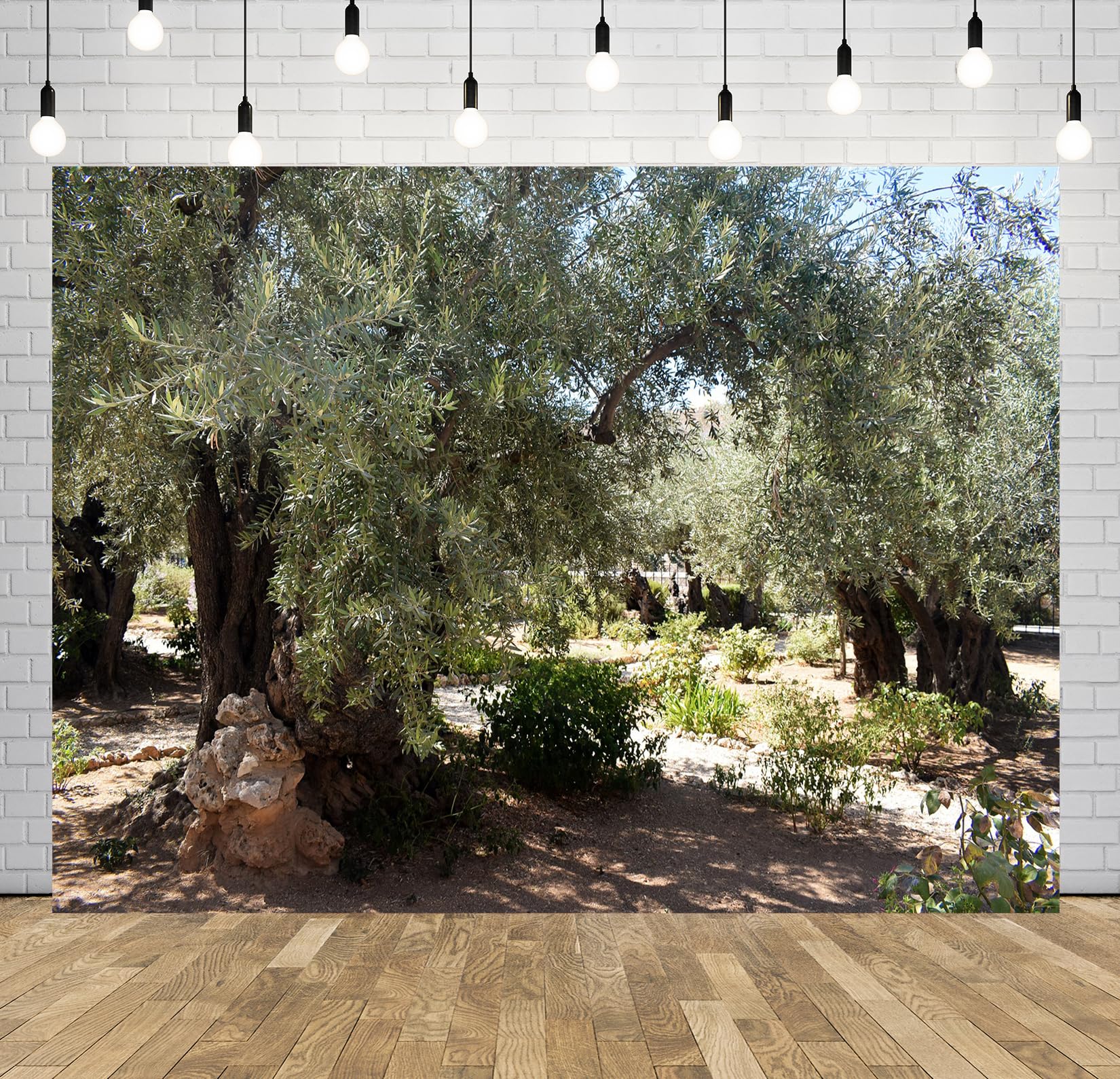 Israel Theme Party Decor 20x10ft Jerusalem Sunset Backdrop - Fabric ...