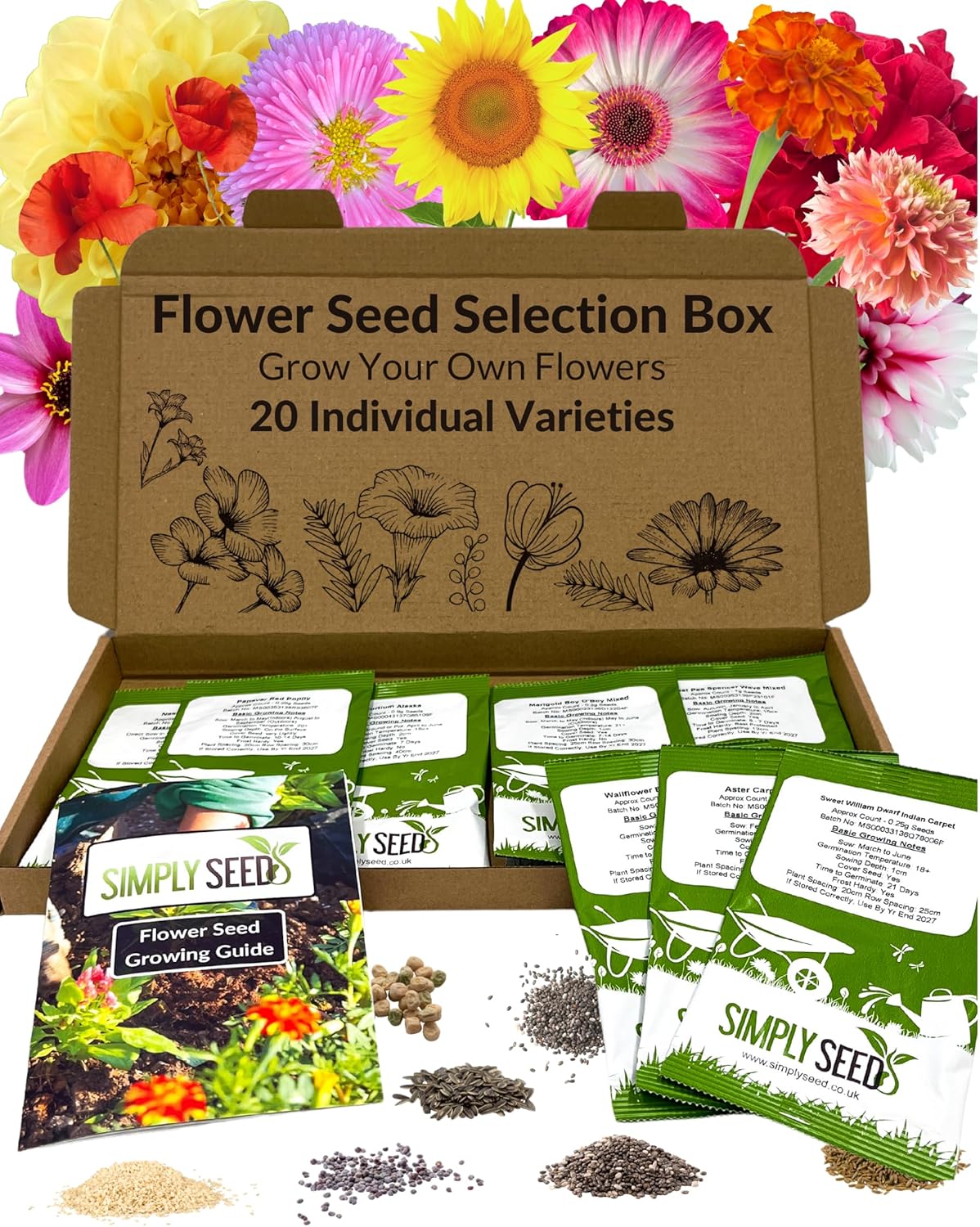 Flower Seed Selection Box - 20 Premium Seed Varieties with High ...