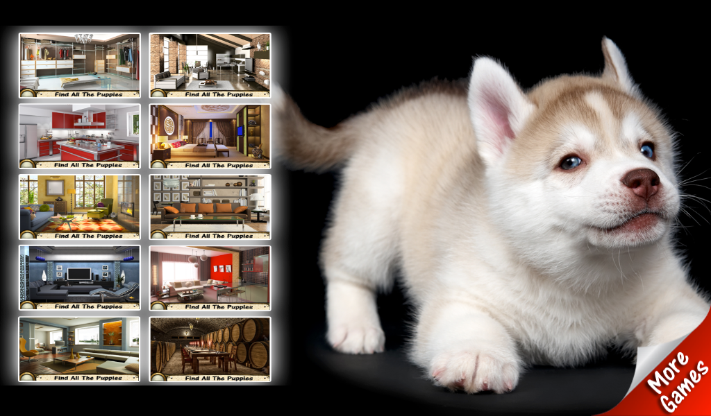 Find The Puppy - Hidden Object - App on Amazon Appstore