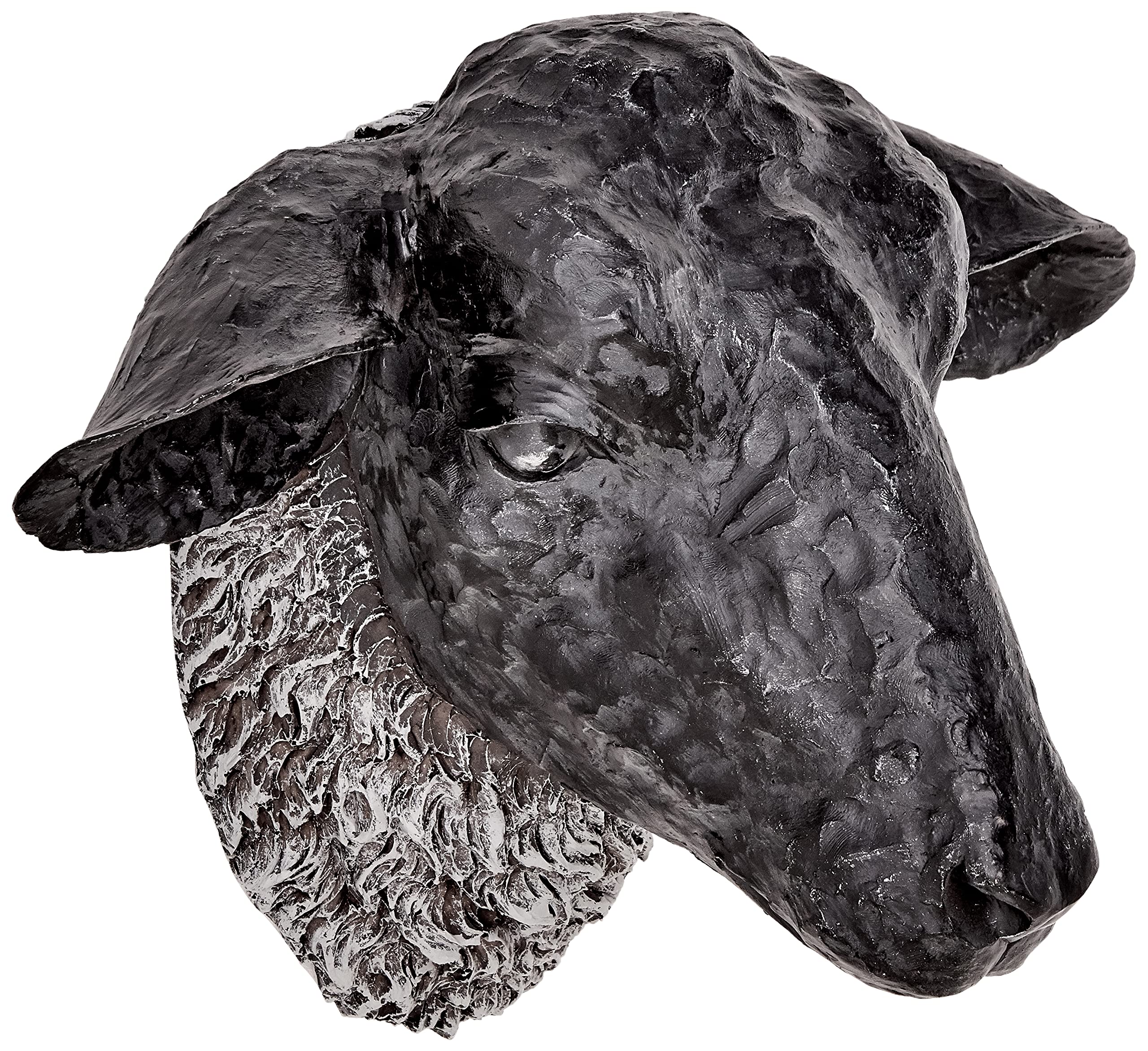 Sheep Head Drawing