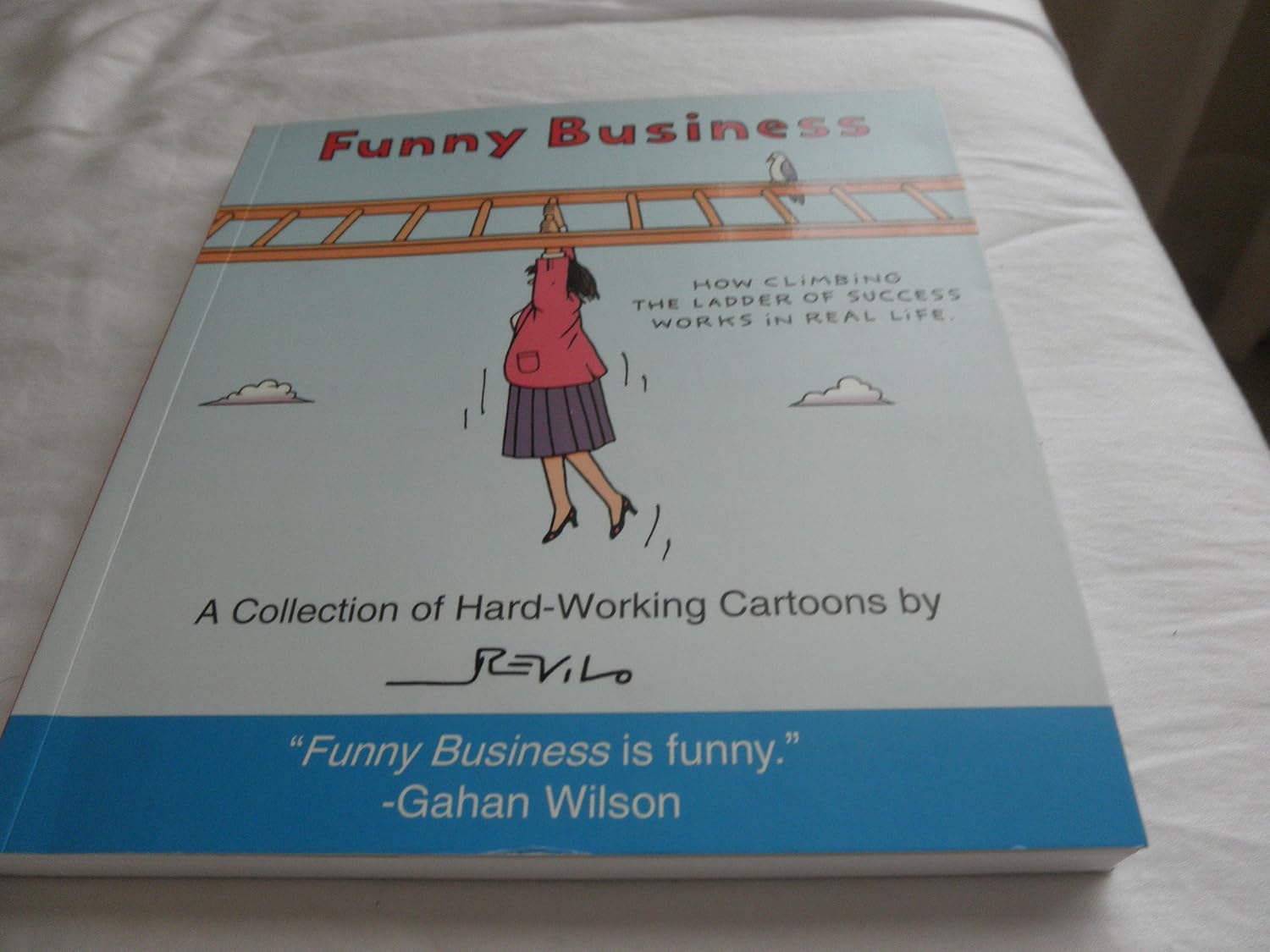 Funny Business (How Climbing the Ladder of Success Works in Real Life ...