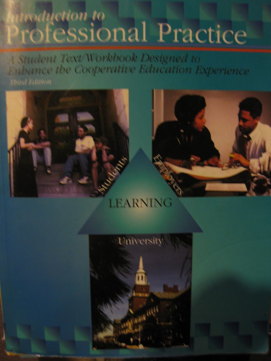 Introduction to Professional Practice: University of Detroit Mercy ...