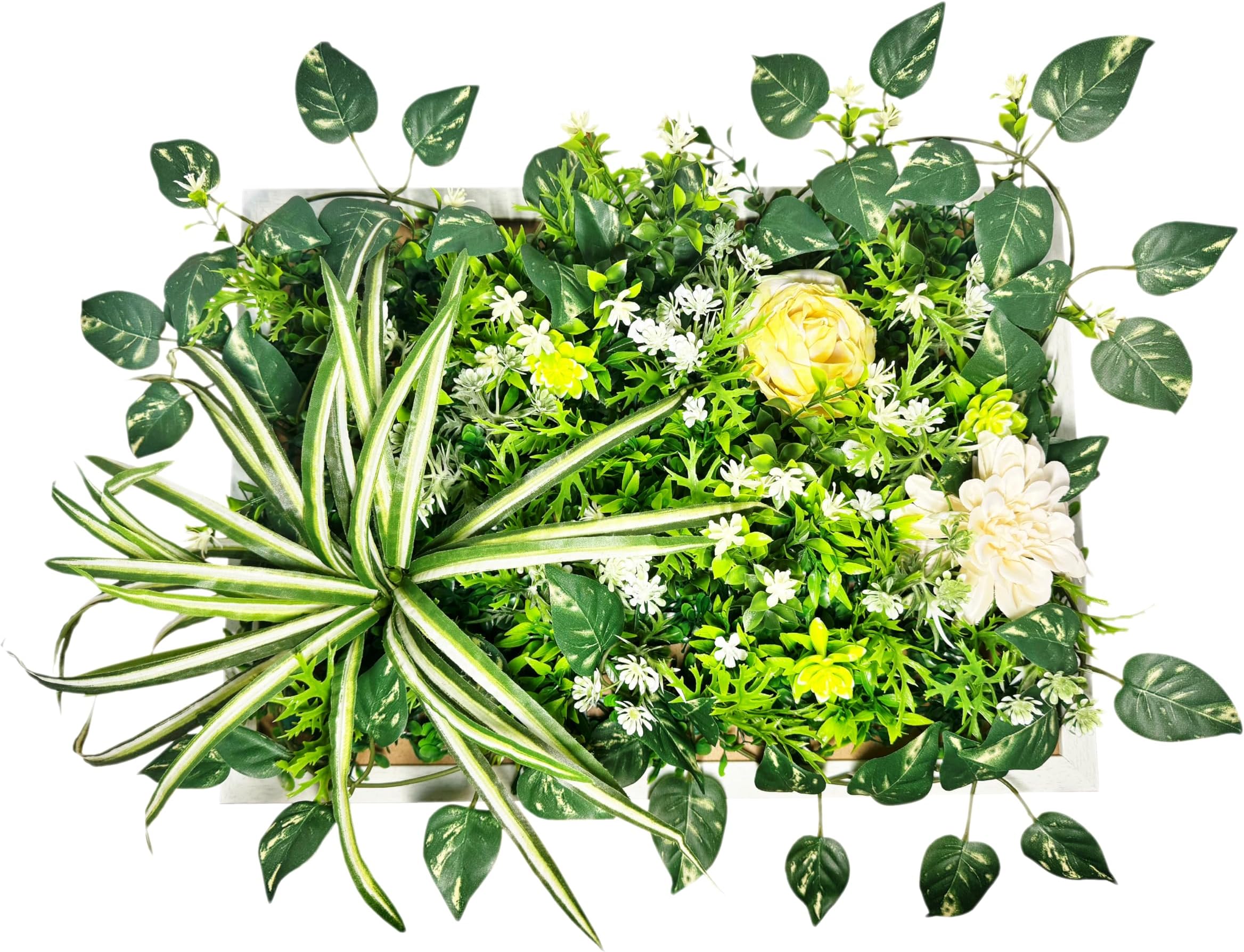Amazon｜Branch leaves ウォールグリーン 50cm×50cm 額縁付き CCGK004BV004 壁掛け 人工観葉植物 ...
