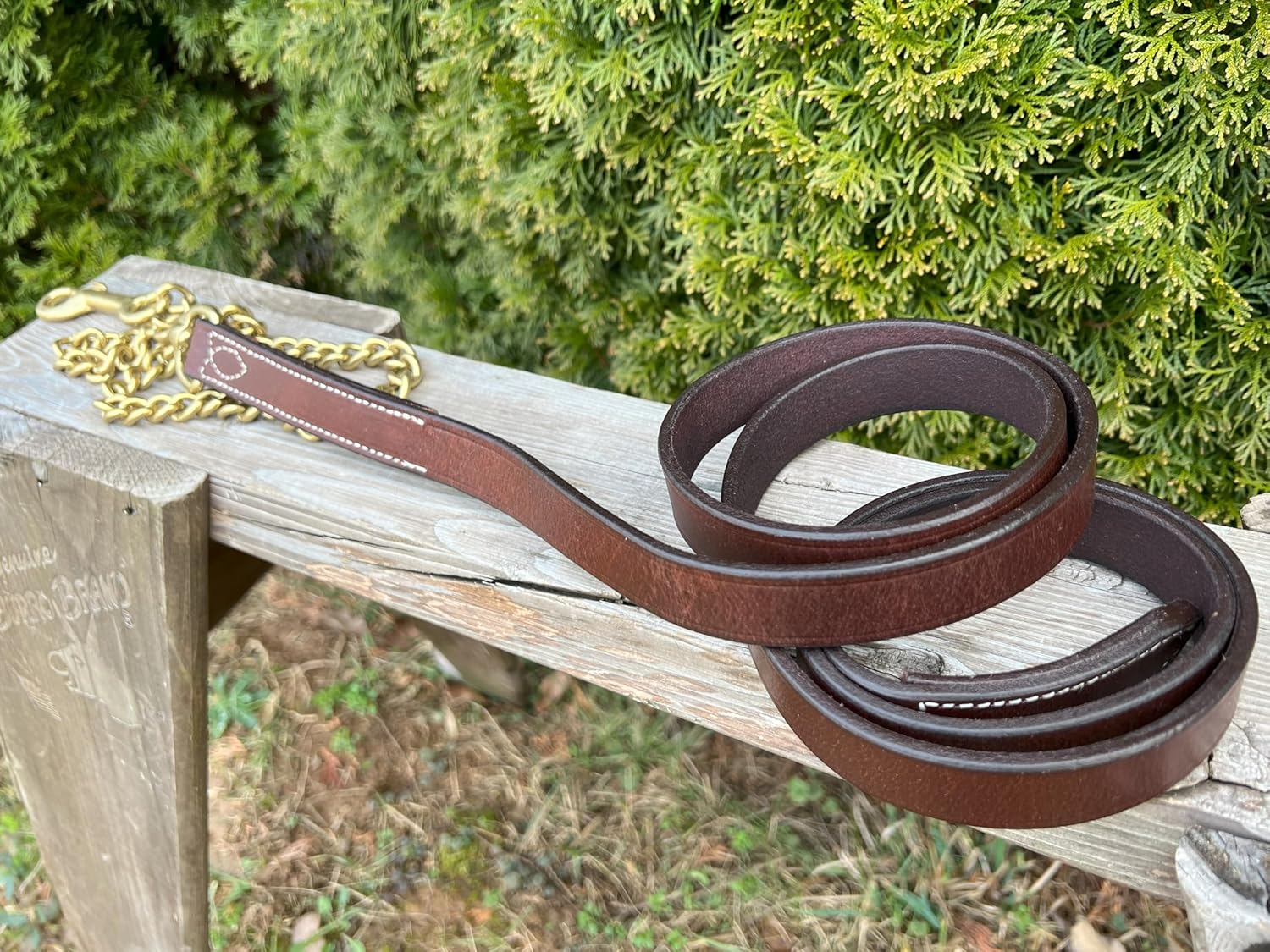 Amazon.com: Leaders Leather Lead with Solid Brass Chain for Horse ...
