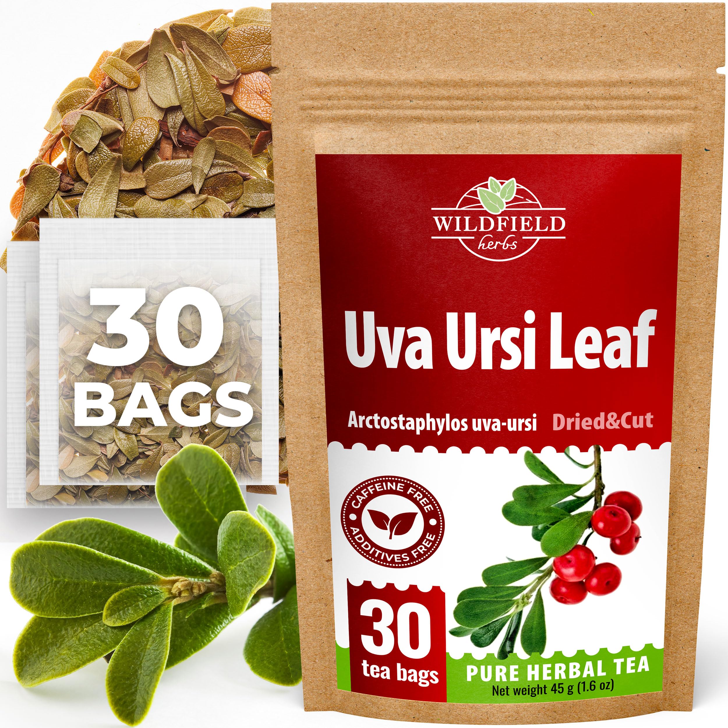 Amazon.com : 30 Uva Ursi Leaf Uva Ursi Tea Herbal (Arctostaphylos uva ...