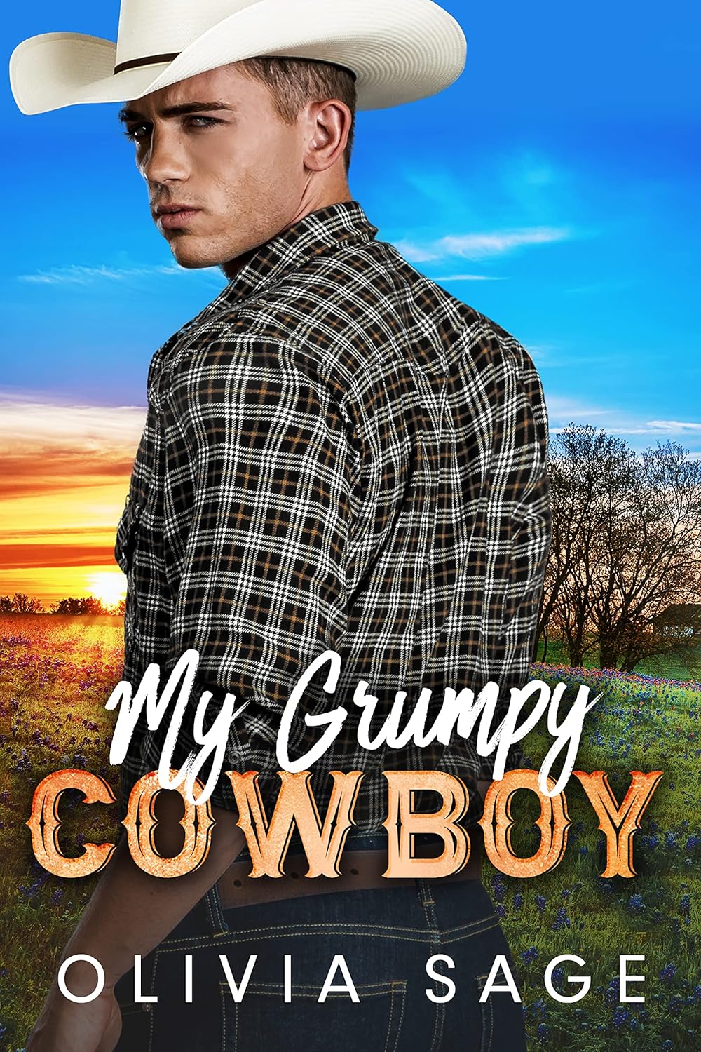 My Grumpy Cowboy : A Small Town Enemies to Lovers Sweet Romance ...
