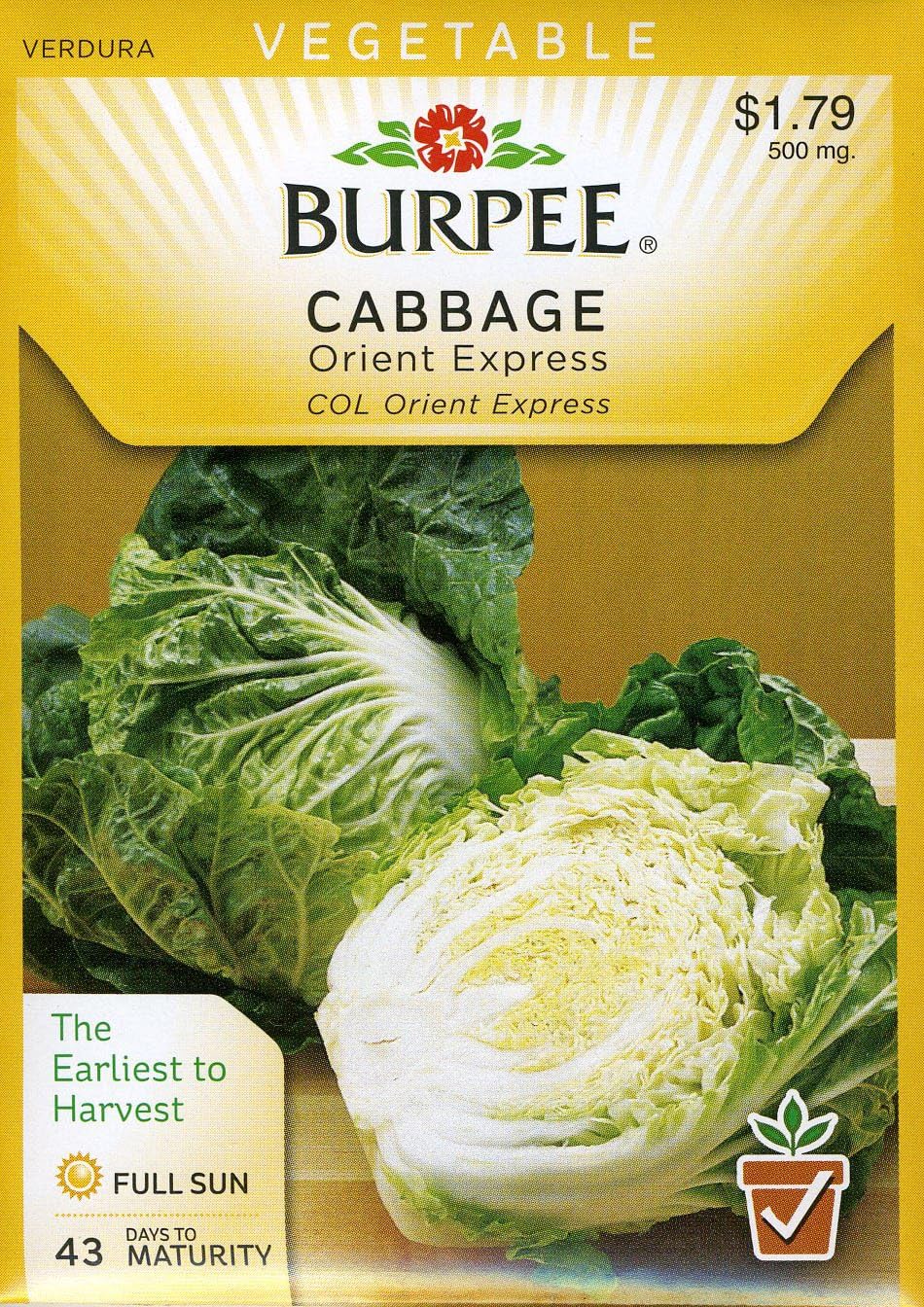Burpee 55039 Cabbage, Chinese Orient Express Seed Packet : Amazon.co.uk ...
