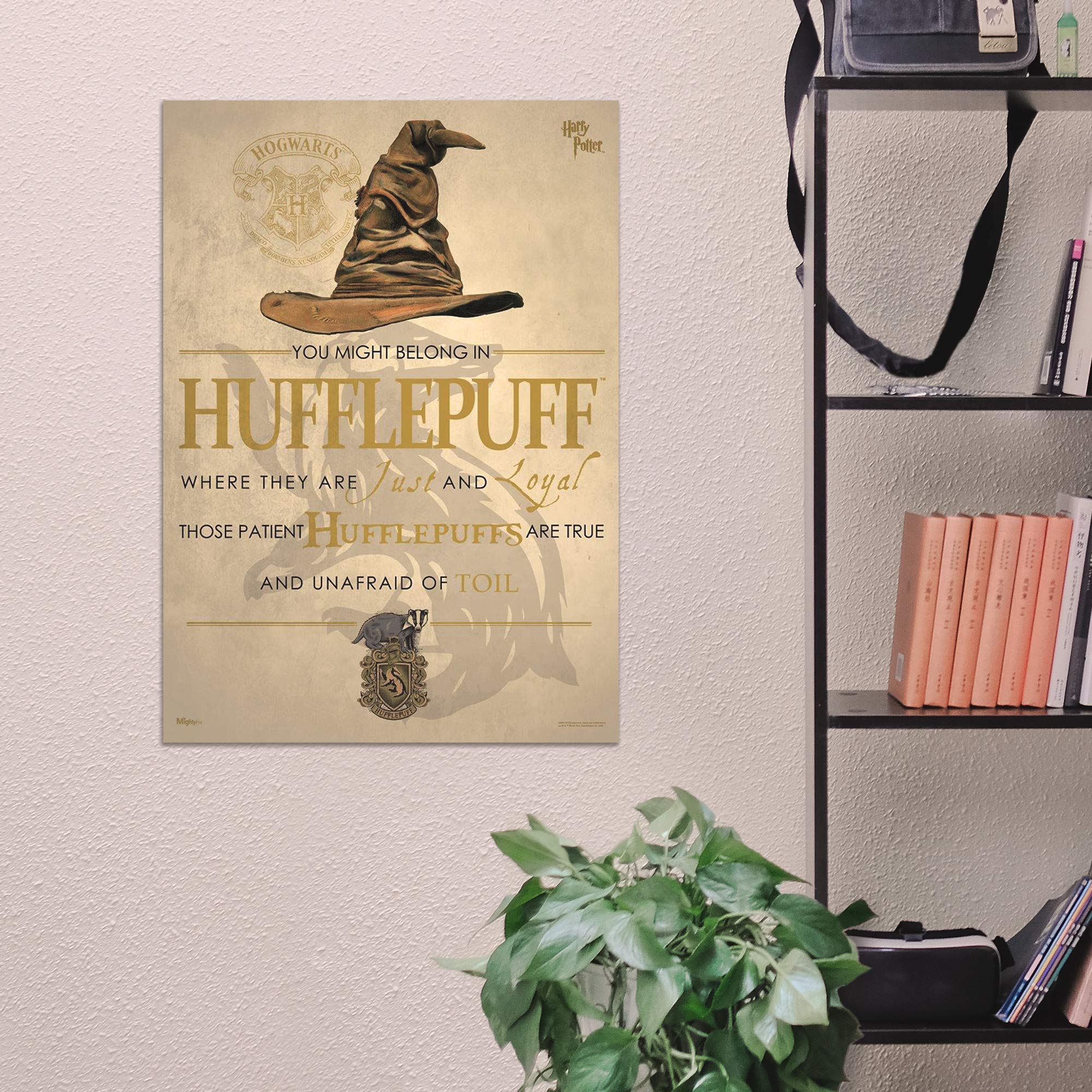 Snapklik.com : Harry Potter - Hufflepuff - Hogwarts Sorting Hat House ...