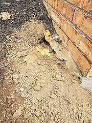 Amazon.com : Tomcat All Weather Bait Chunx, 4 Lb : Home Pest Lures ...