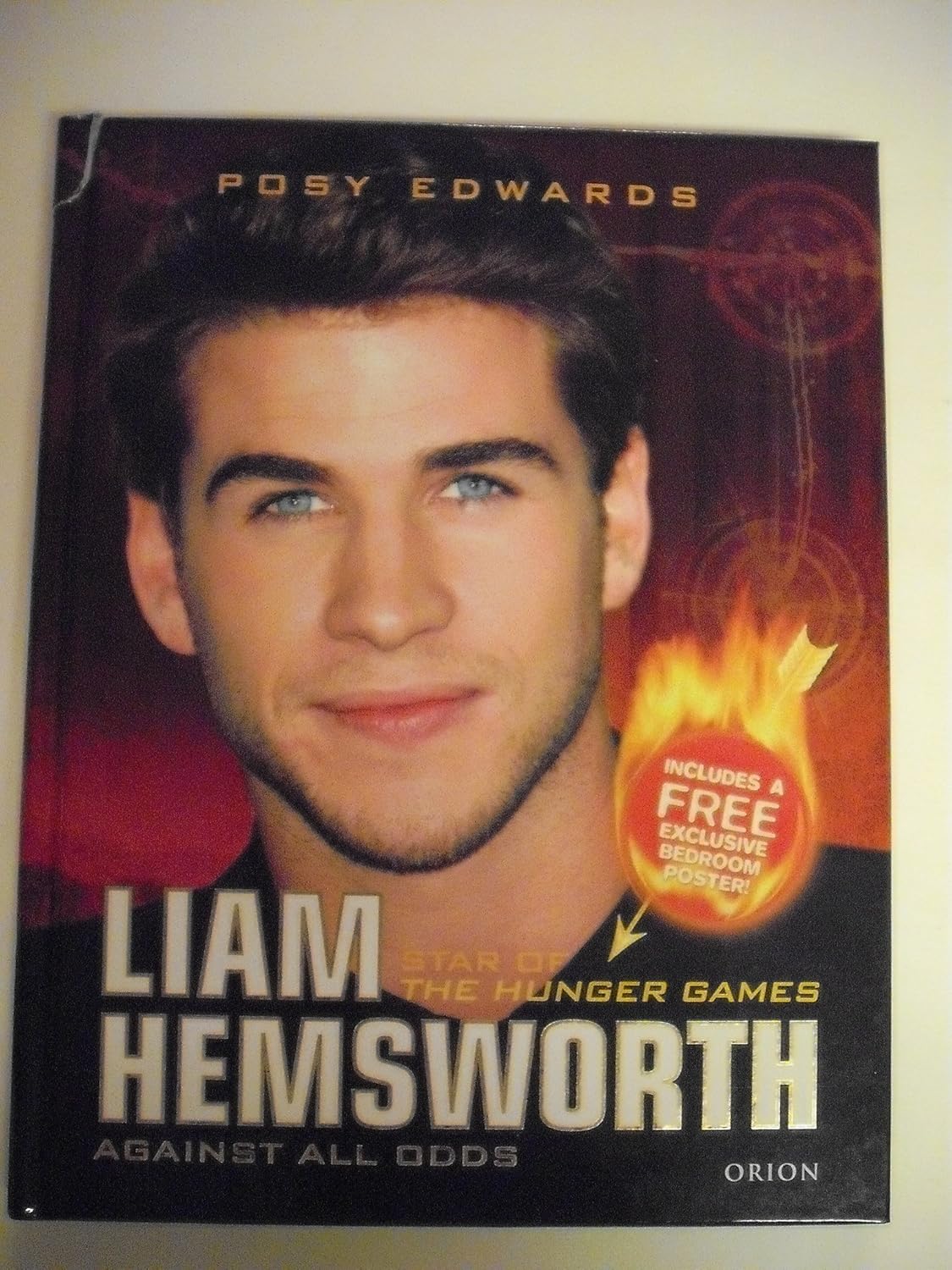 Liam Hemsworth: Against All Odds: Edwards, Posy: 9781409143772: Amazon ...